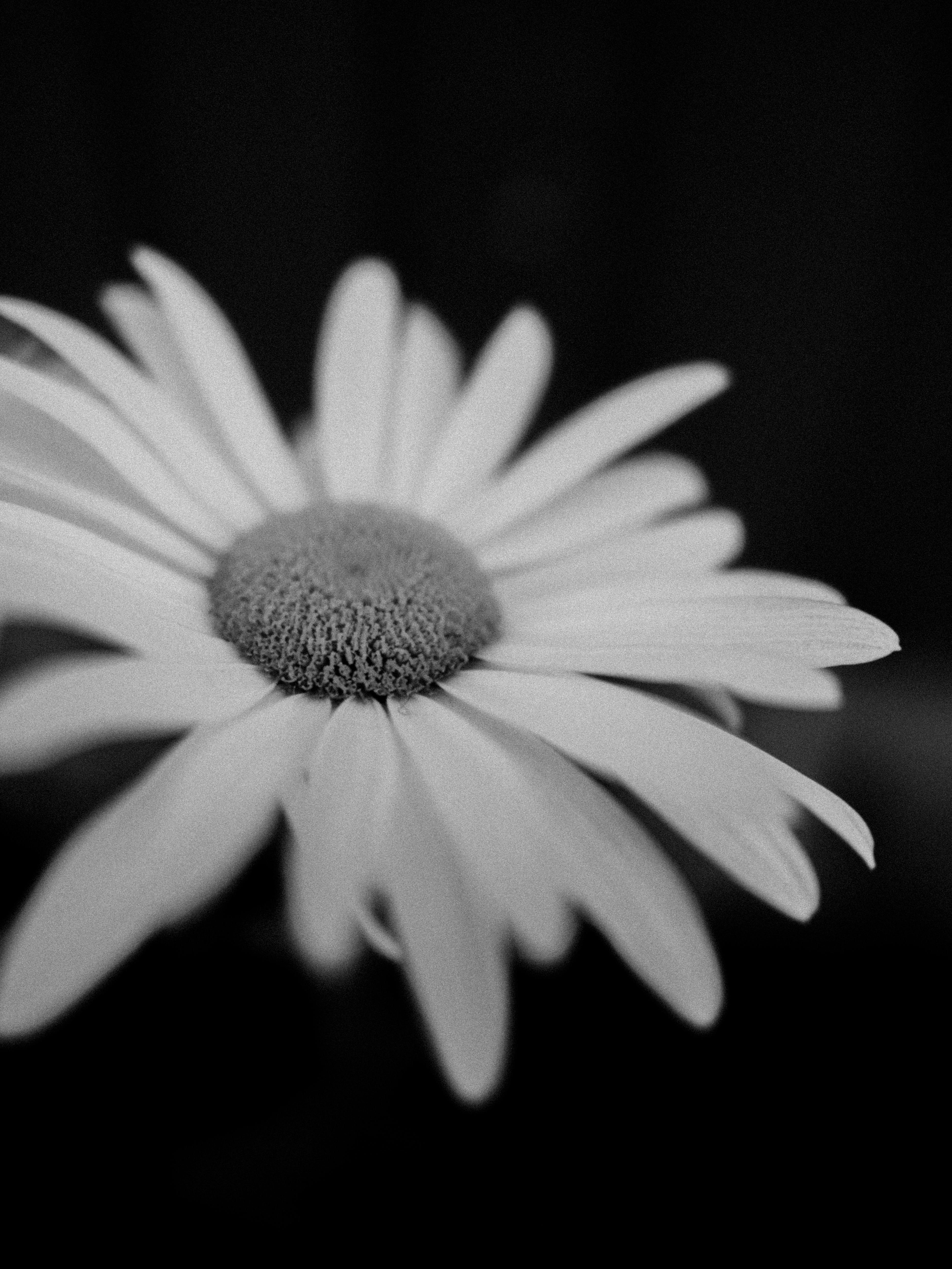 5mb Photo Photos, Download The BEST Free 5mb Photo Stock Photos & HD Images