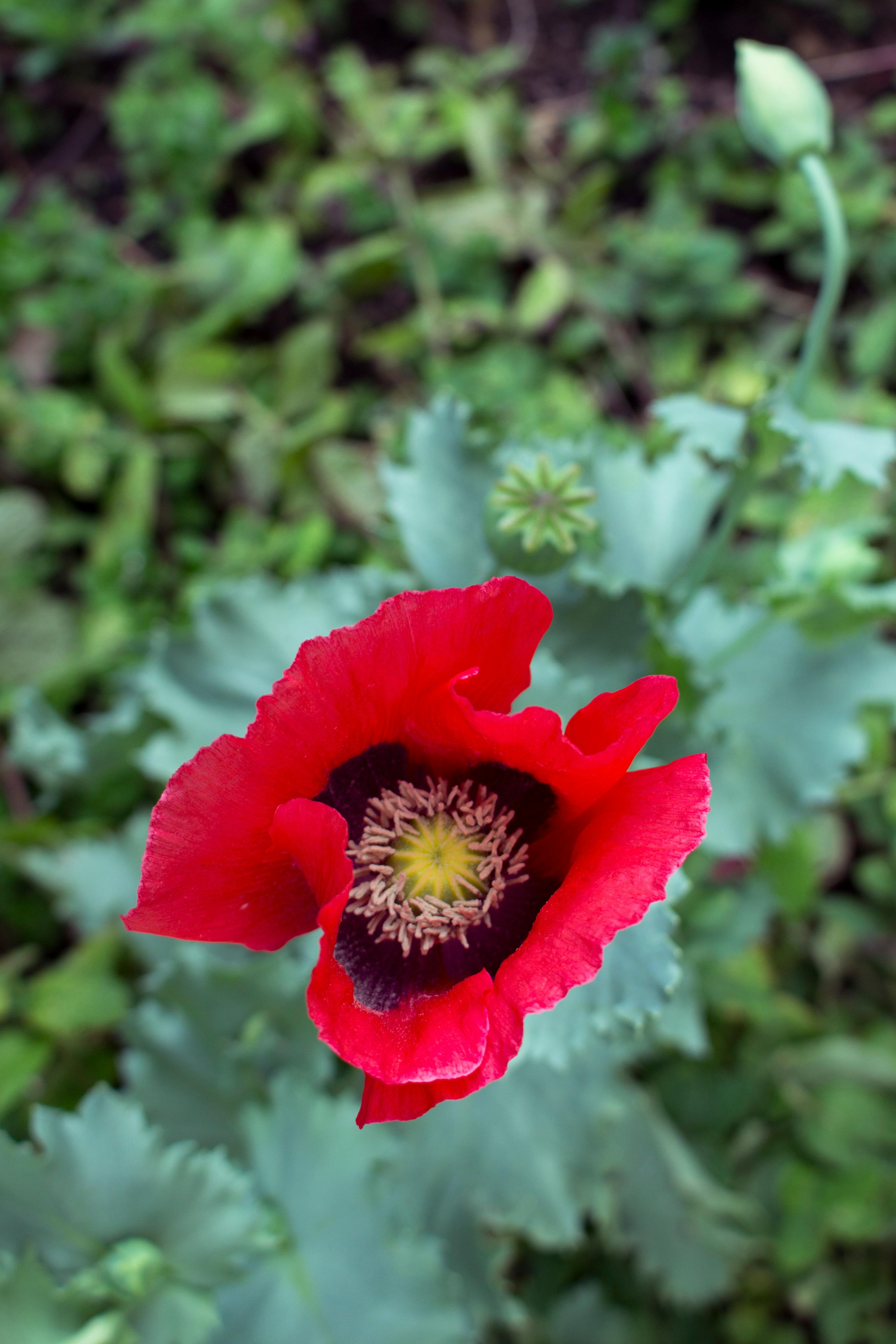 David Hache - Fotografie