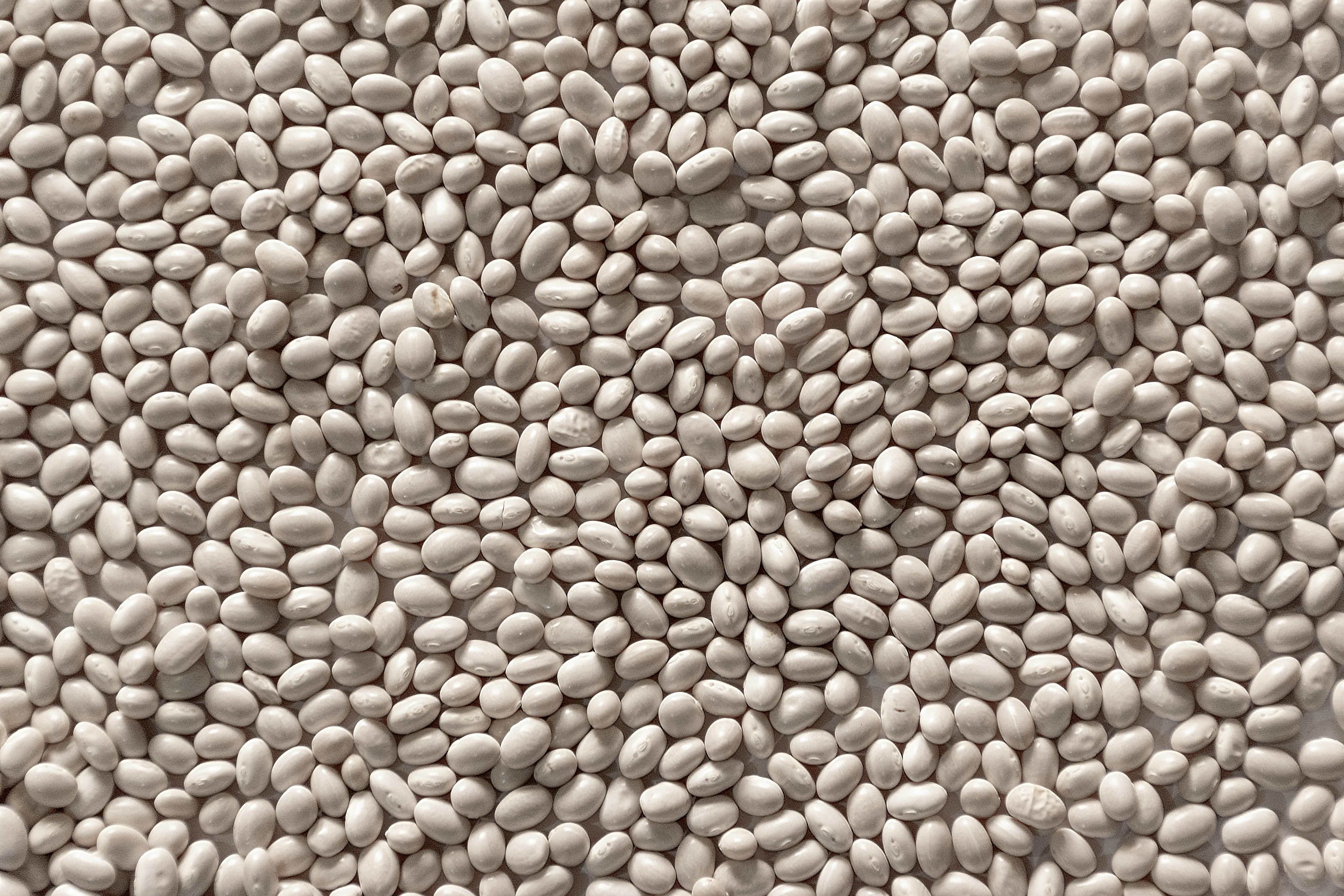 Close up of White Pebbles · Free Stock Photo