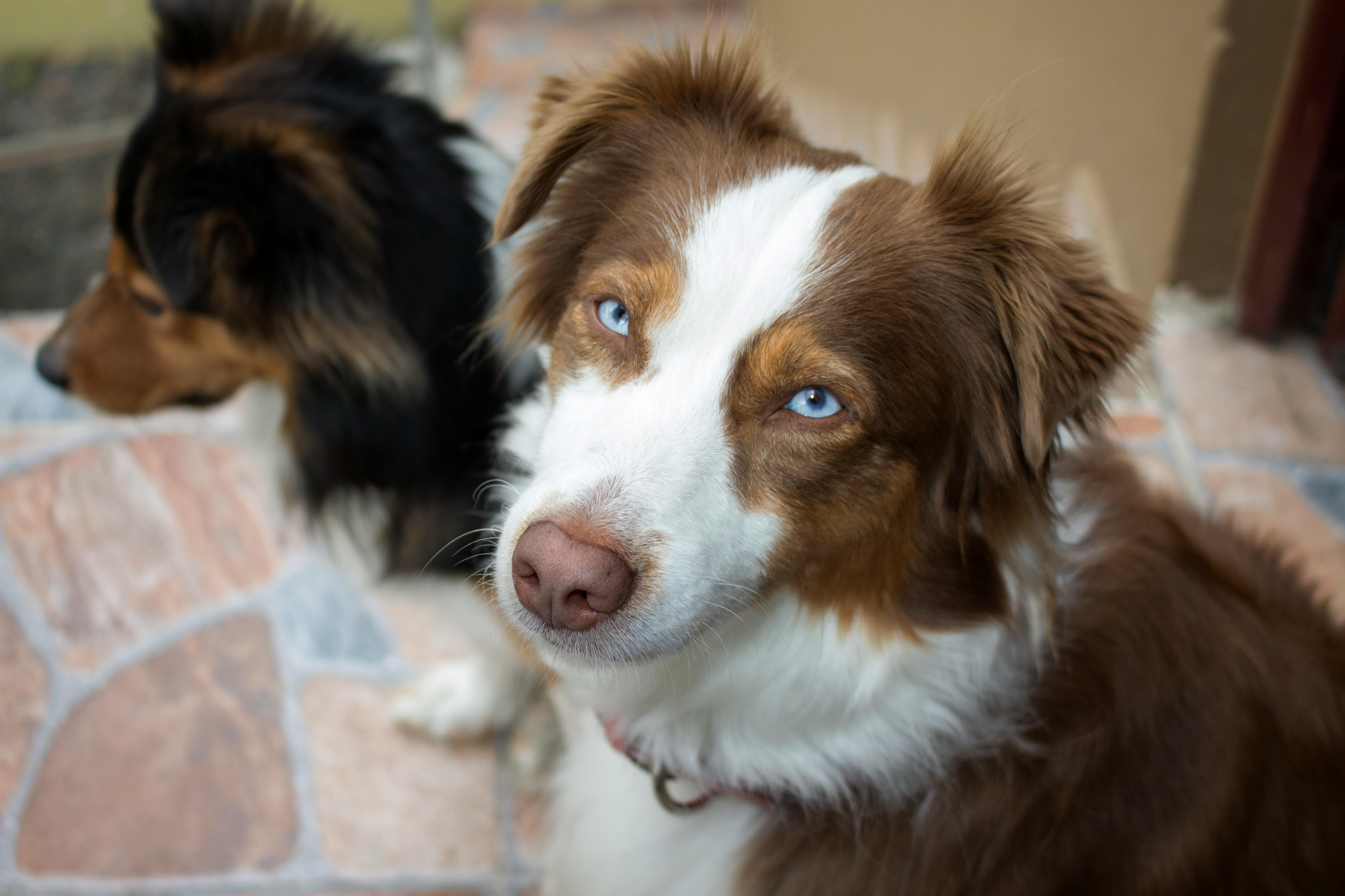 David Hache - Fotografie