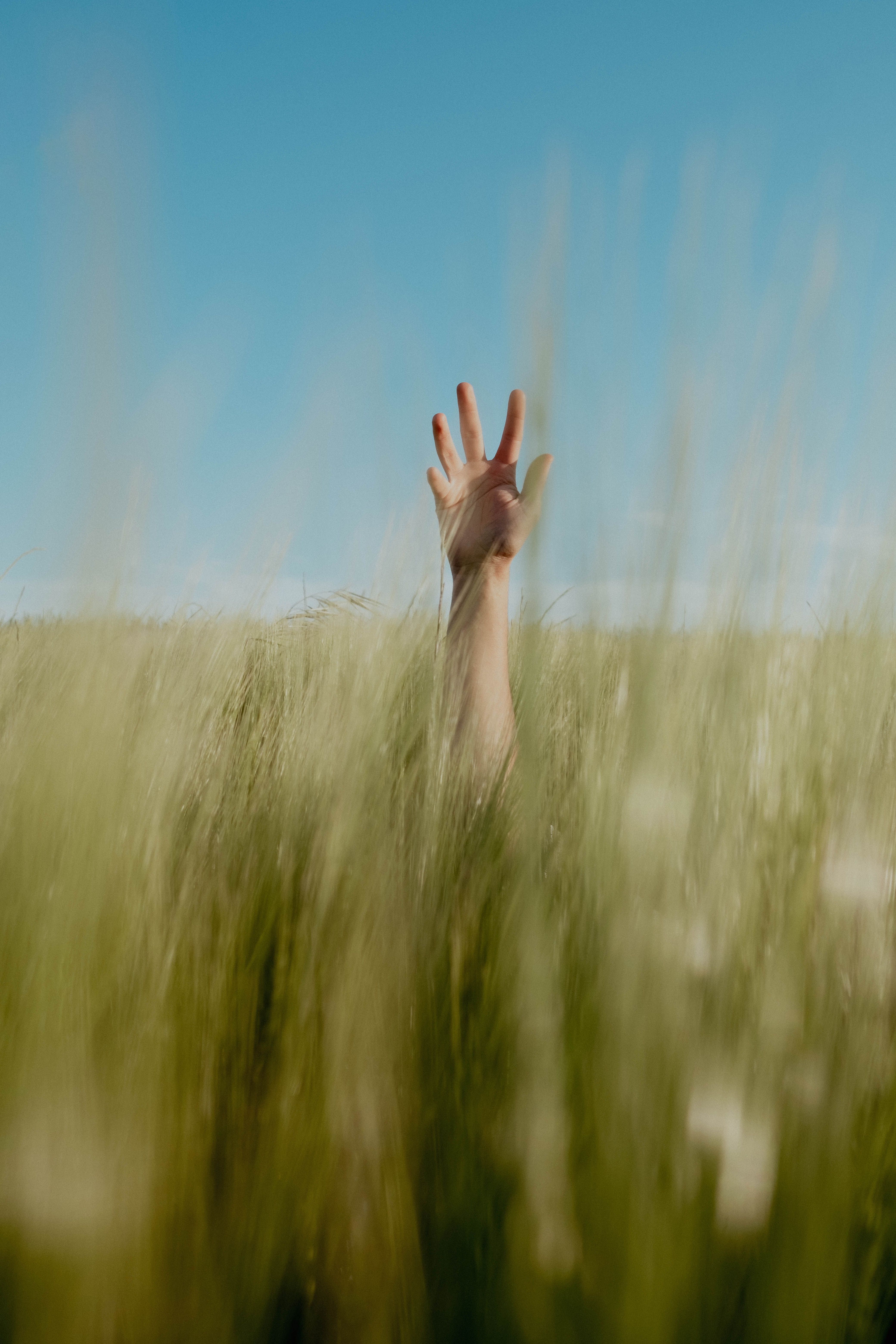 A person's hand reaching out in a field · Free Stock Photo
