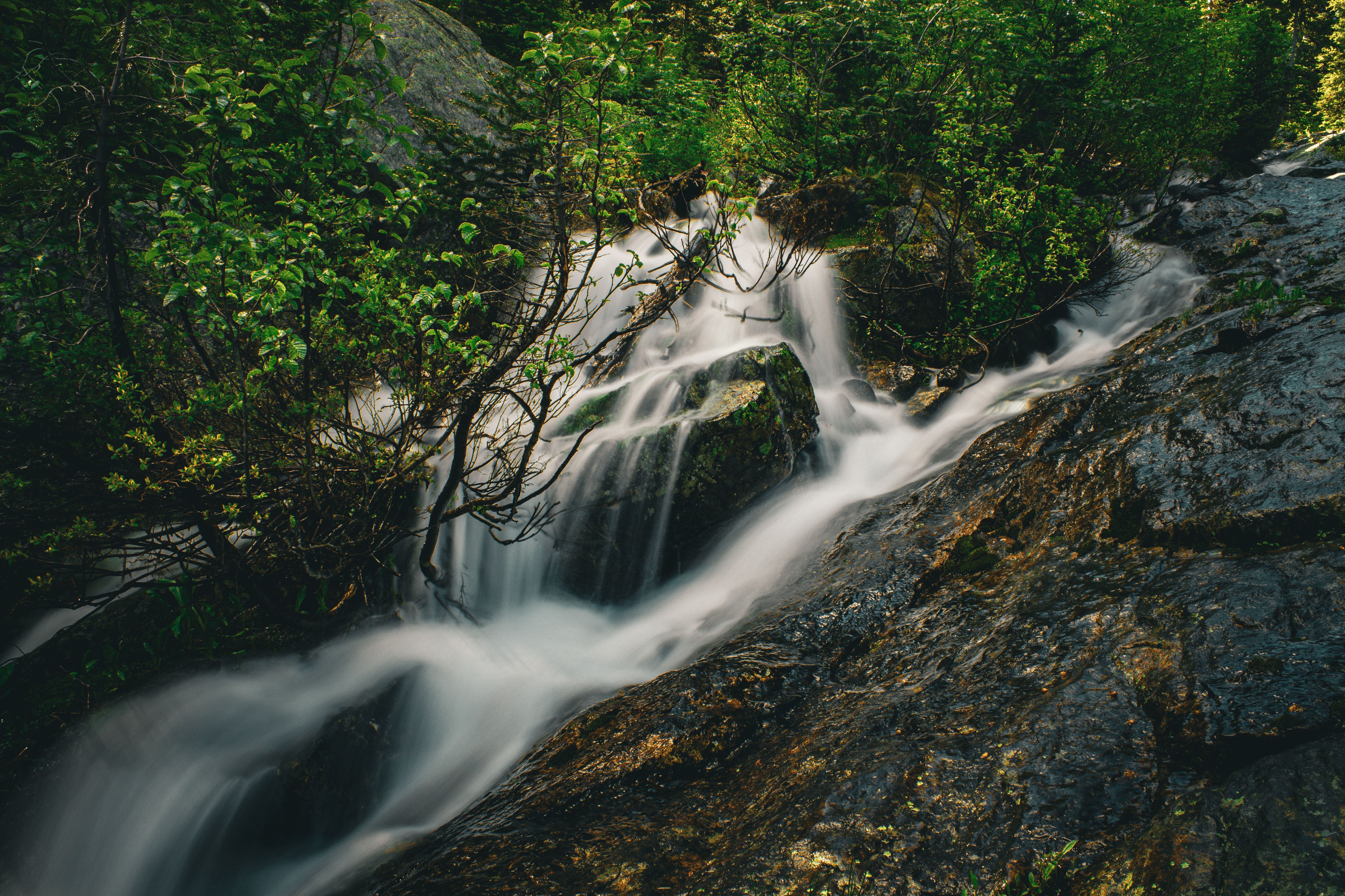 Rushing Stream on a Rock · Free Stock Photo