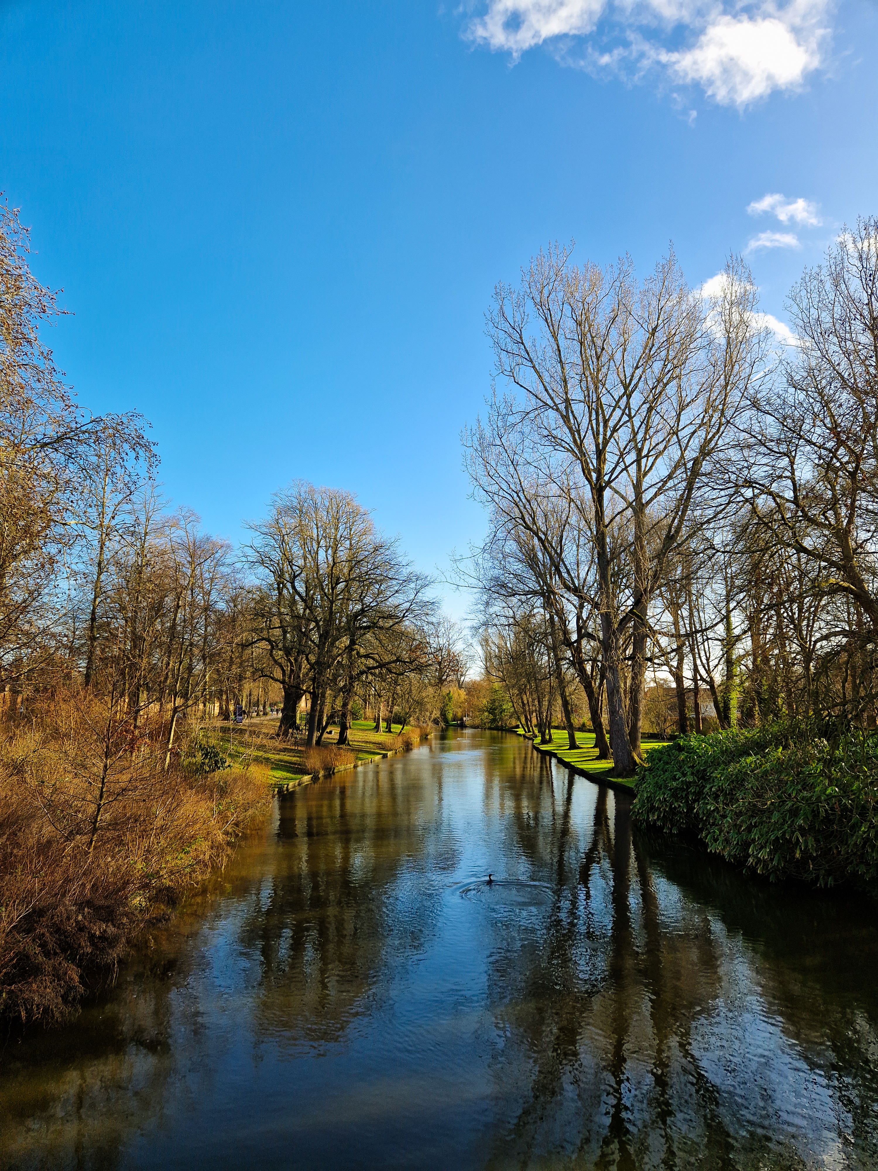 Calm River in Countryside · Free Stock Photo