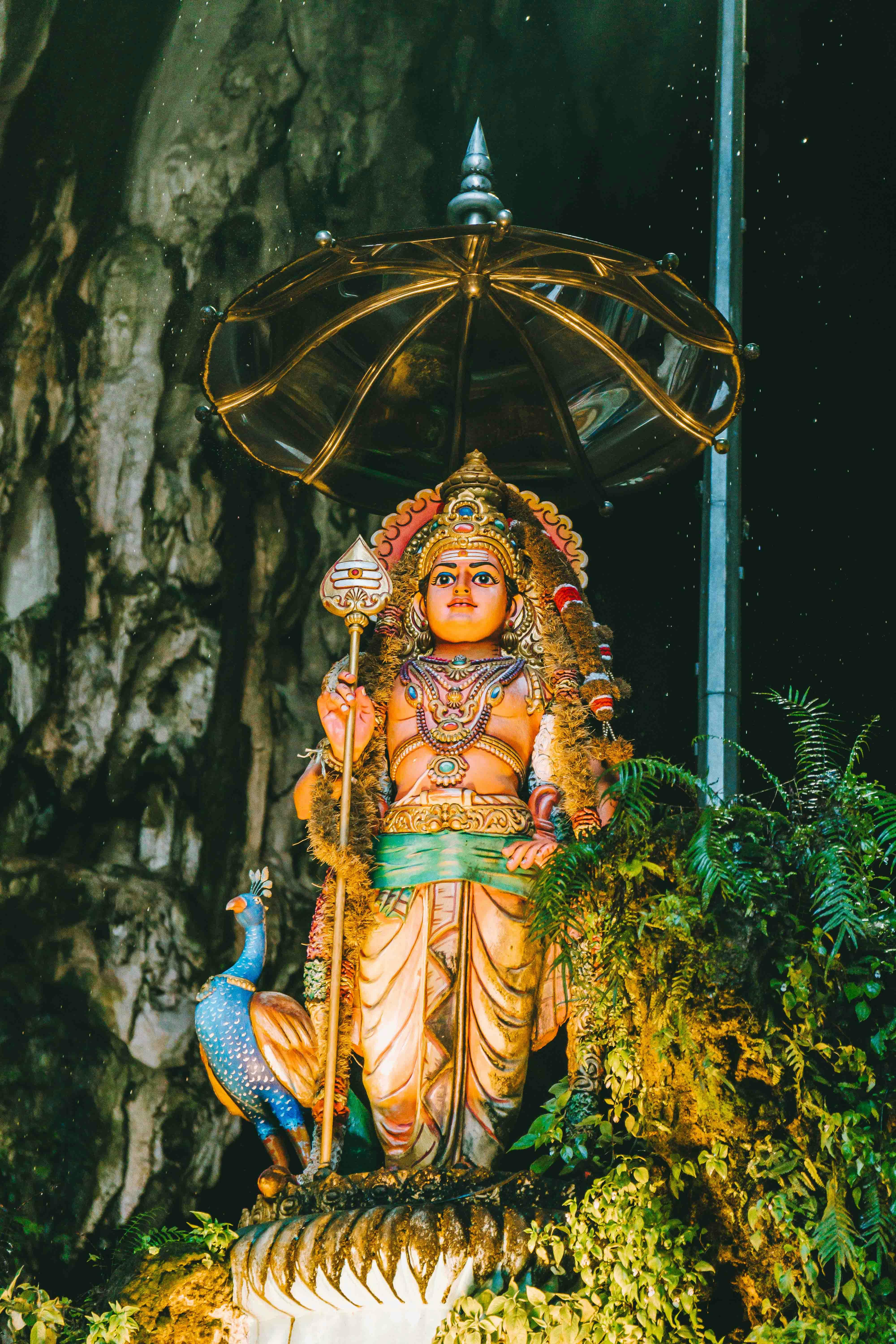 Murugan Photos Download The BEST Free Murugan Stock Photos HD Images