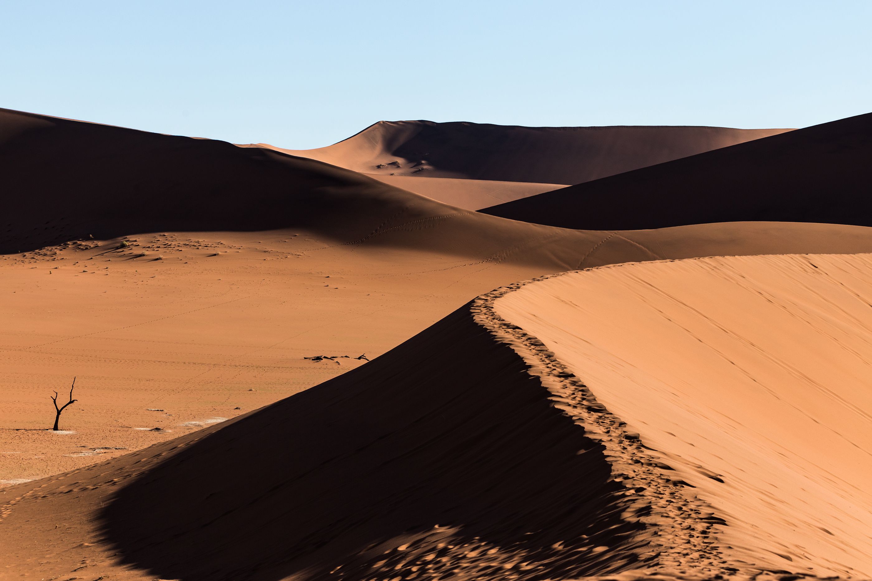 Dunes of Sand at Deadvlei in Namibia · Free Stock Photo