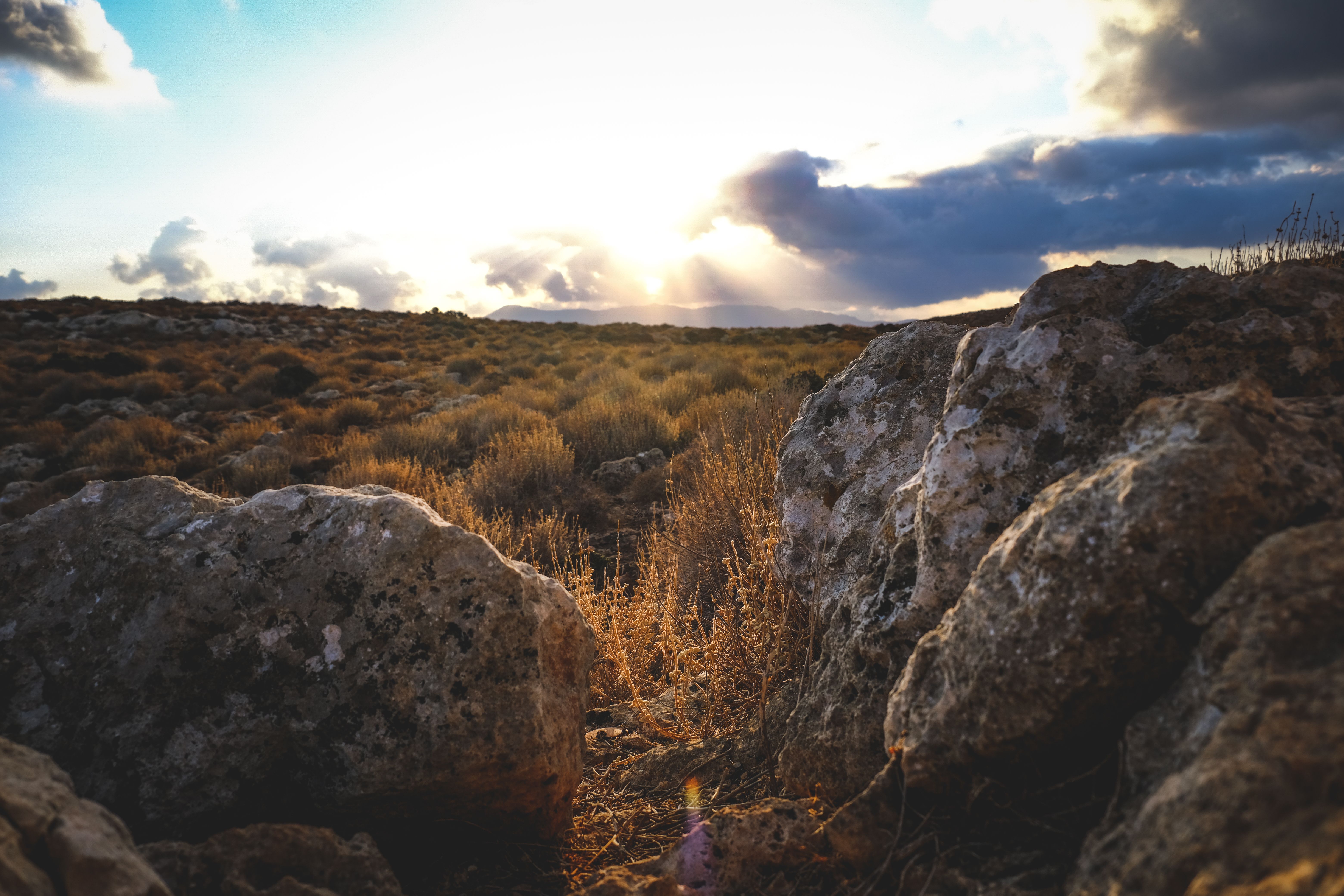 Photo of Rocks in a Field at Sunset · Free Stock Photo