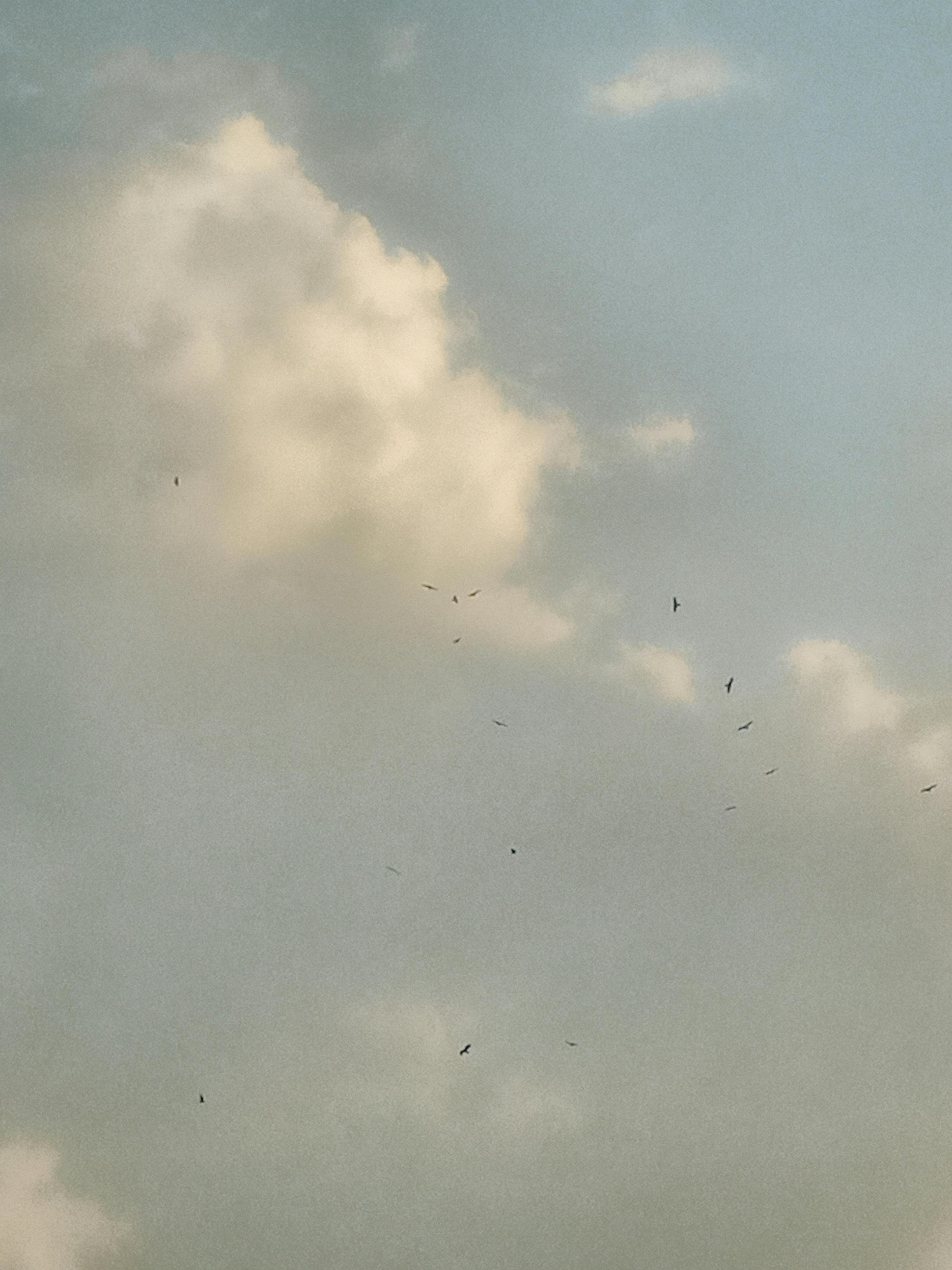 Krishna Rawat - Fotografía