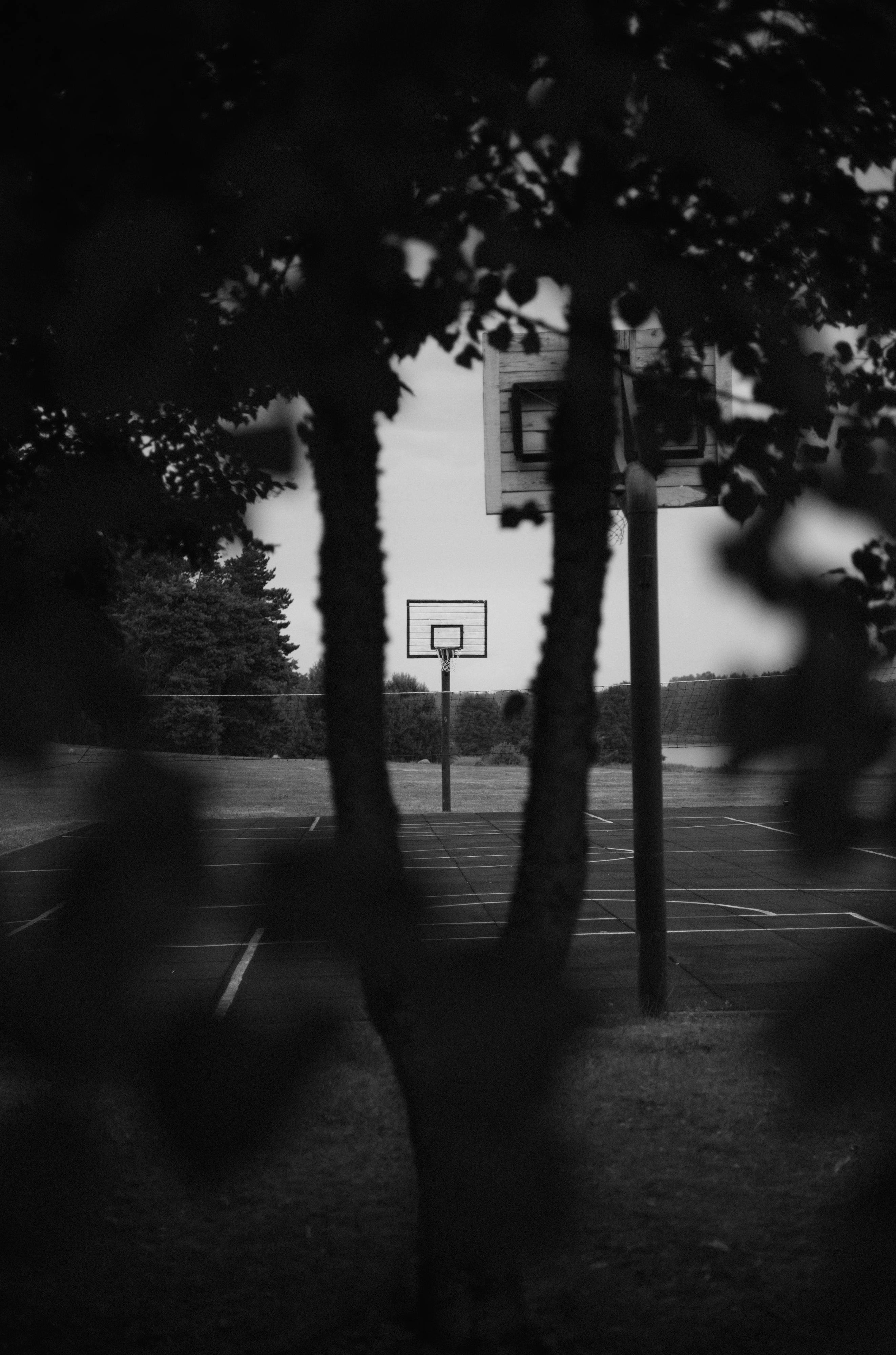 Basketball Court in the Nature · Free Stock Photo