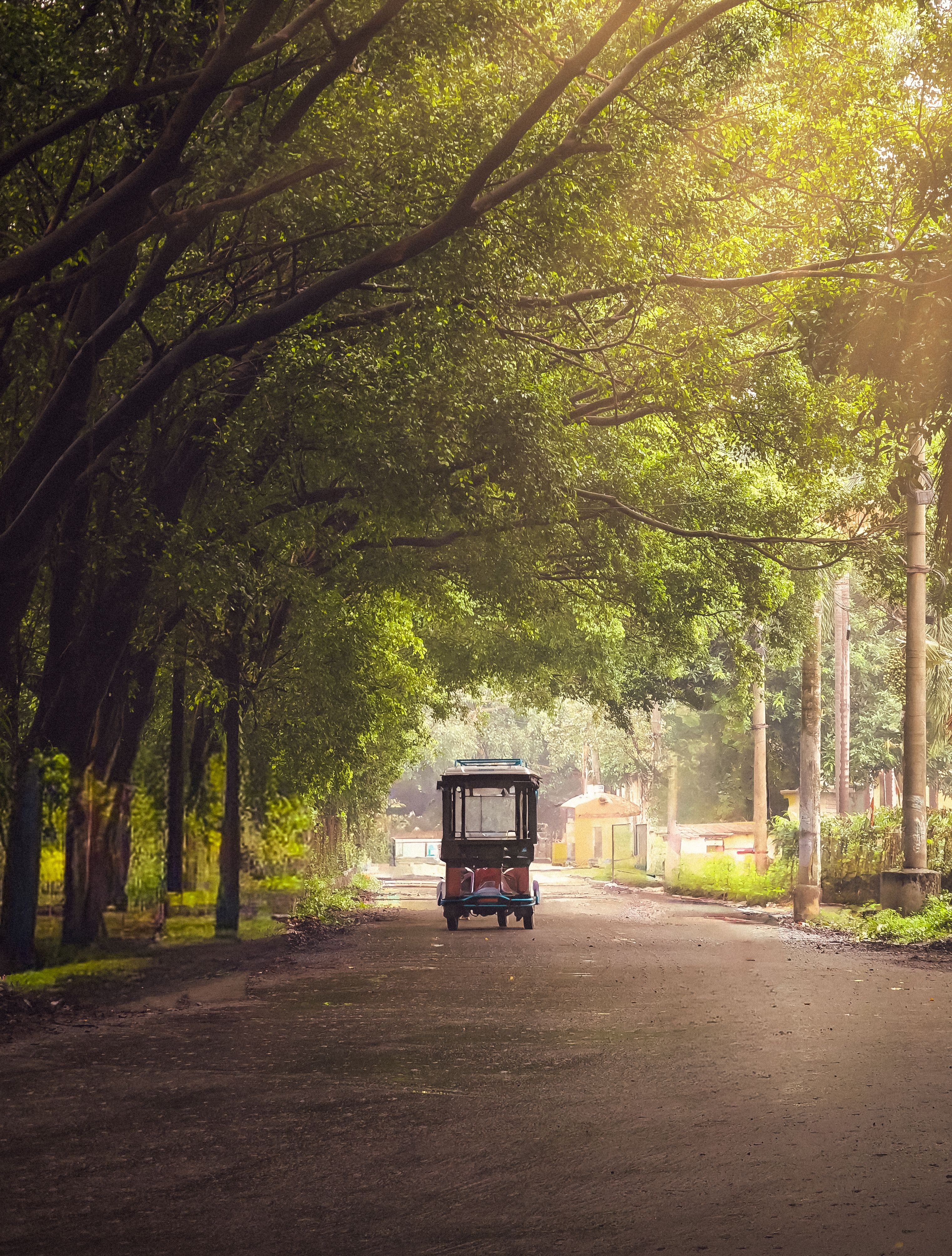 Subhash Nagar Photos, Download The BEST Free Subhash Nagar Stock Photos ...