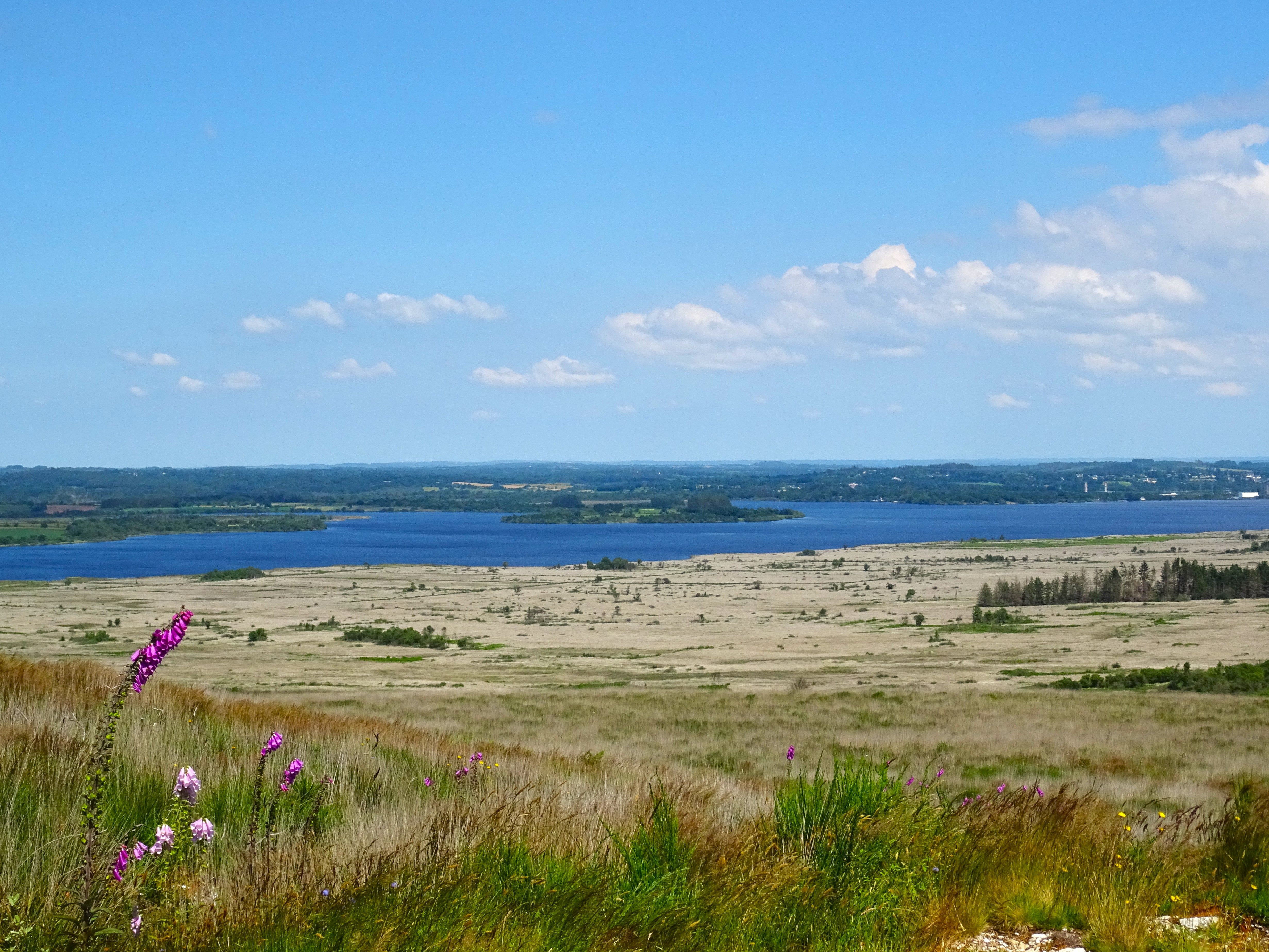 Field and Lake in Countryside · Free Stock Photo
