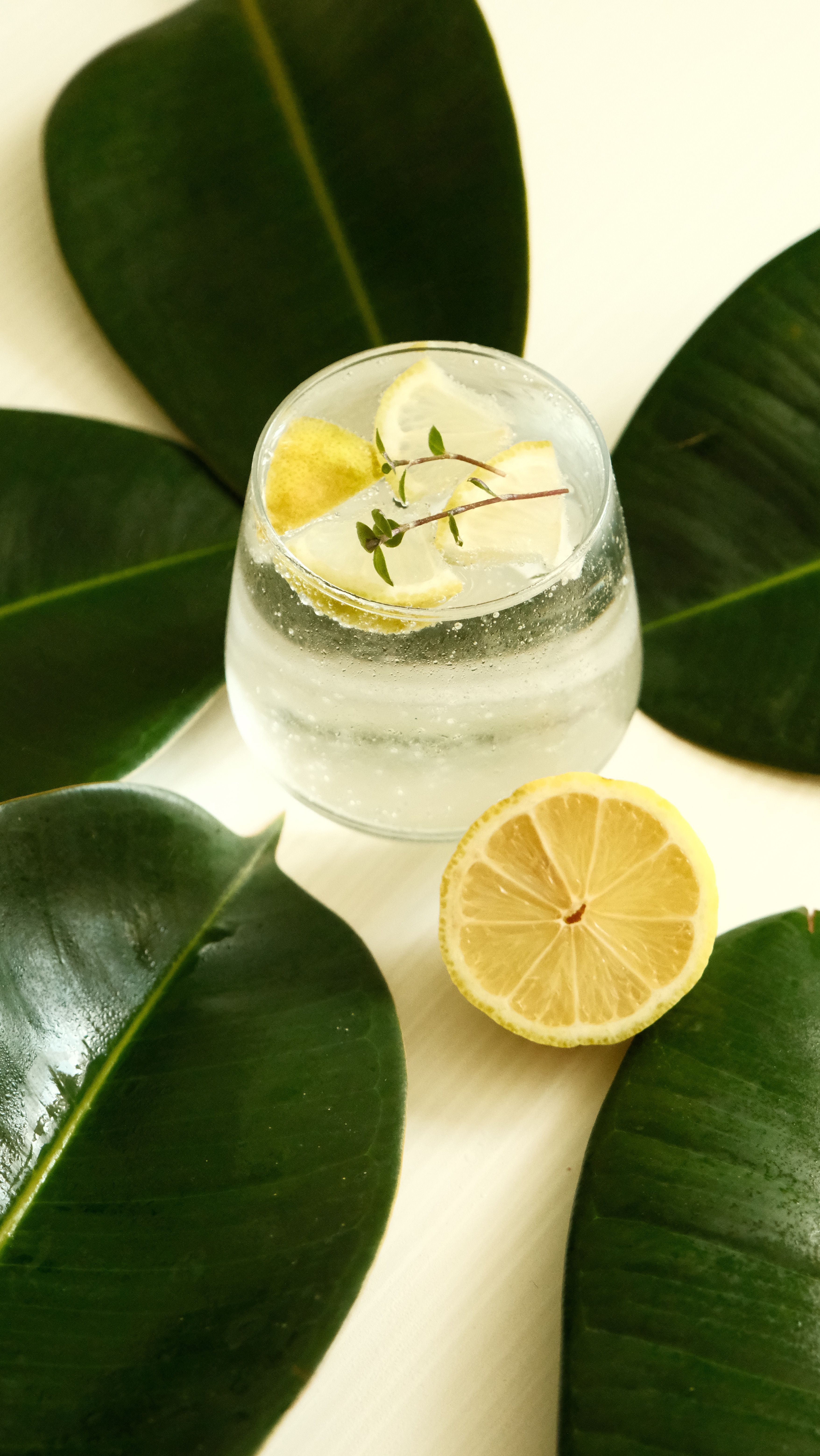 Lemonade and Lemon among Leaves · Free Stock Photo