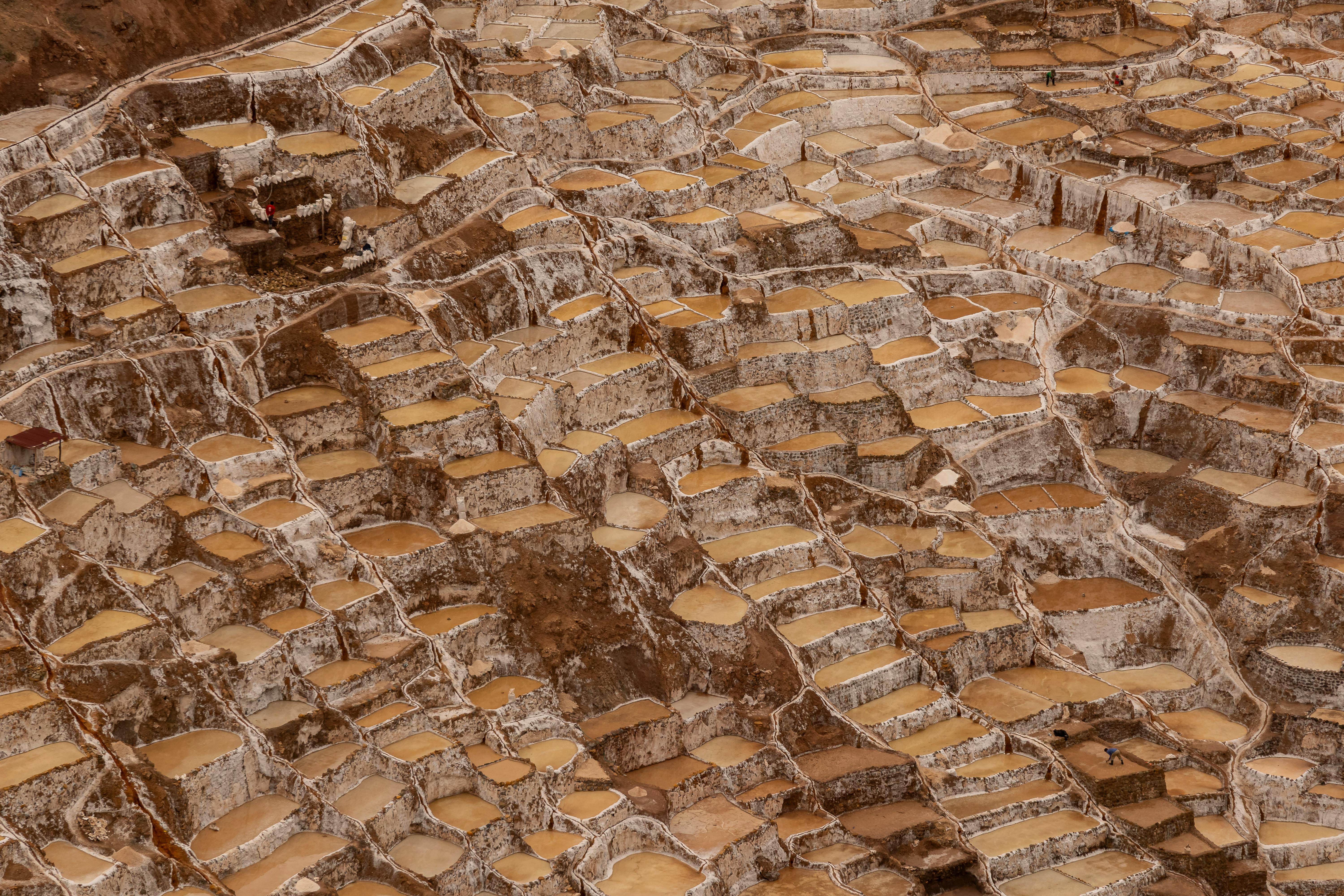 A close up of a terraced field · Free Stock Photo