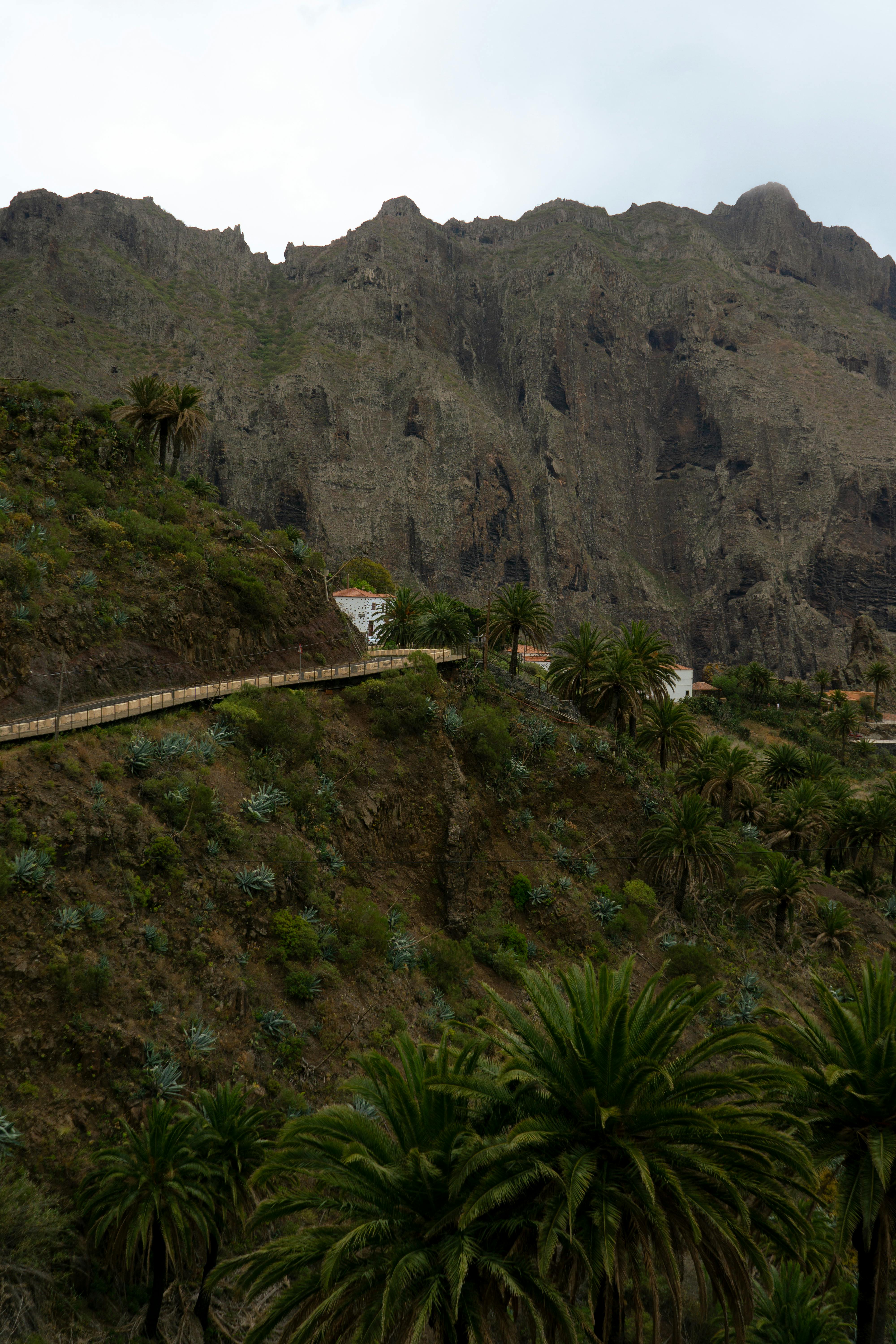 Aerial View of Mountains and Palm Trees in the Valley · Free Stock Photo