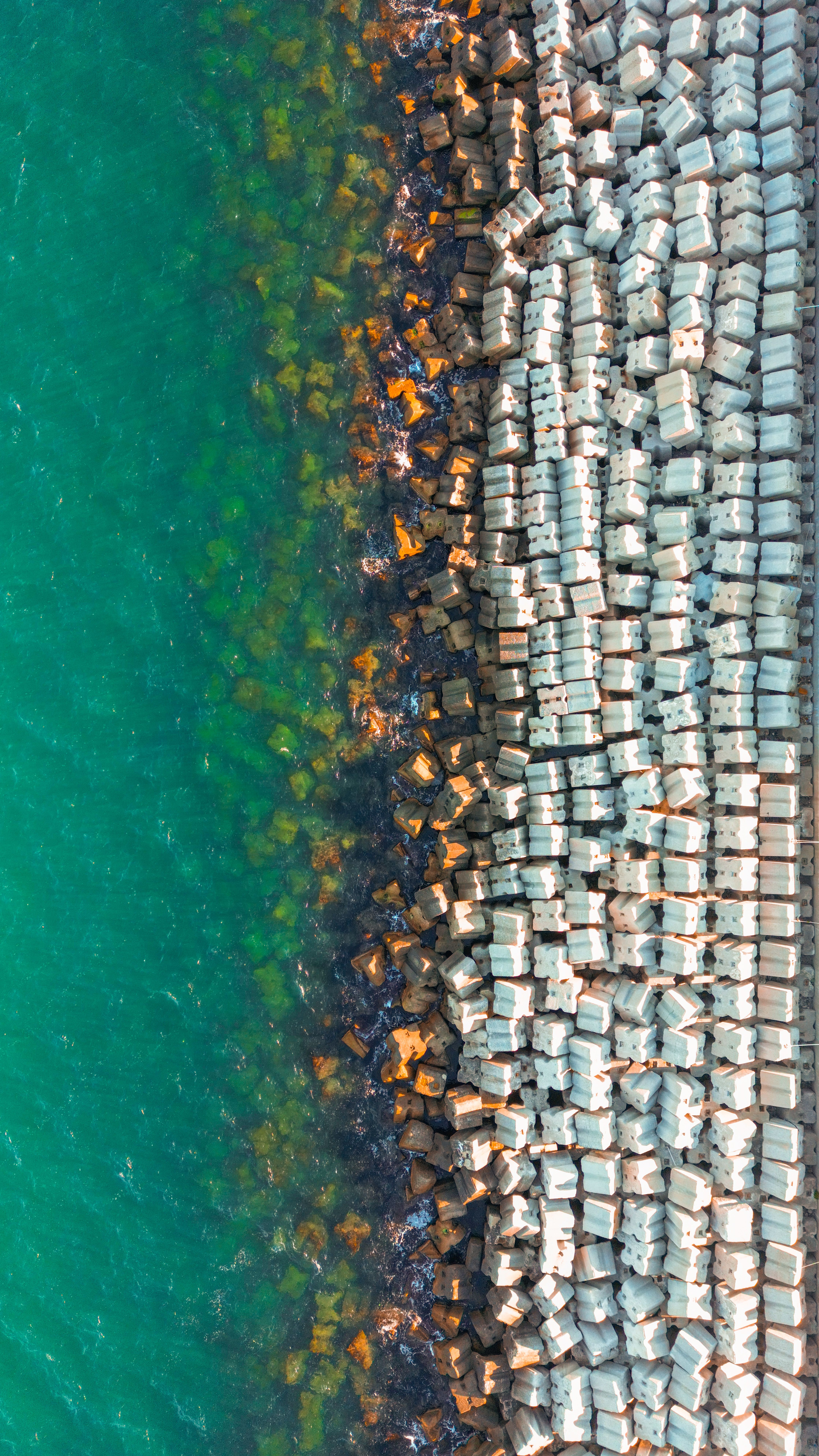 Concrete Blocks of Breakwater on Sea Shore · Free Stock Photo