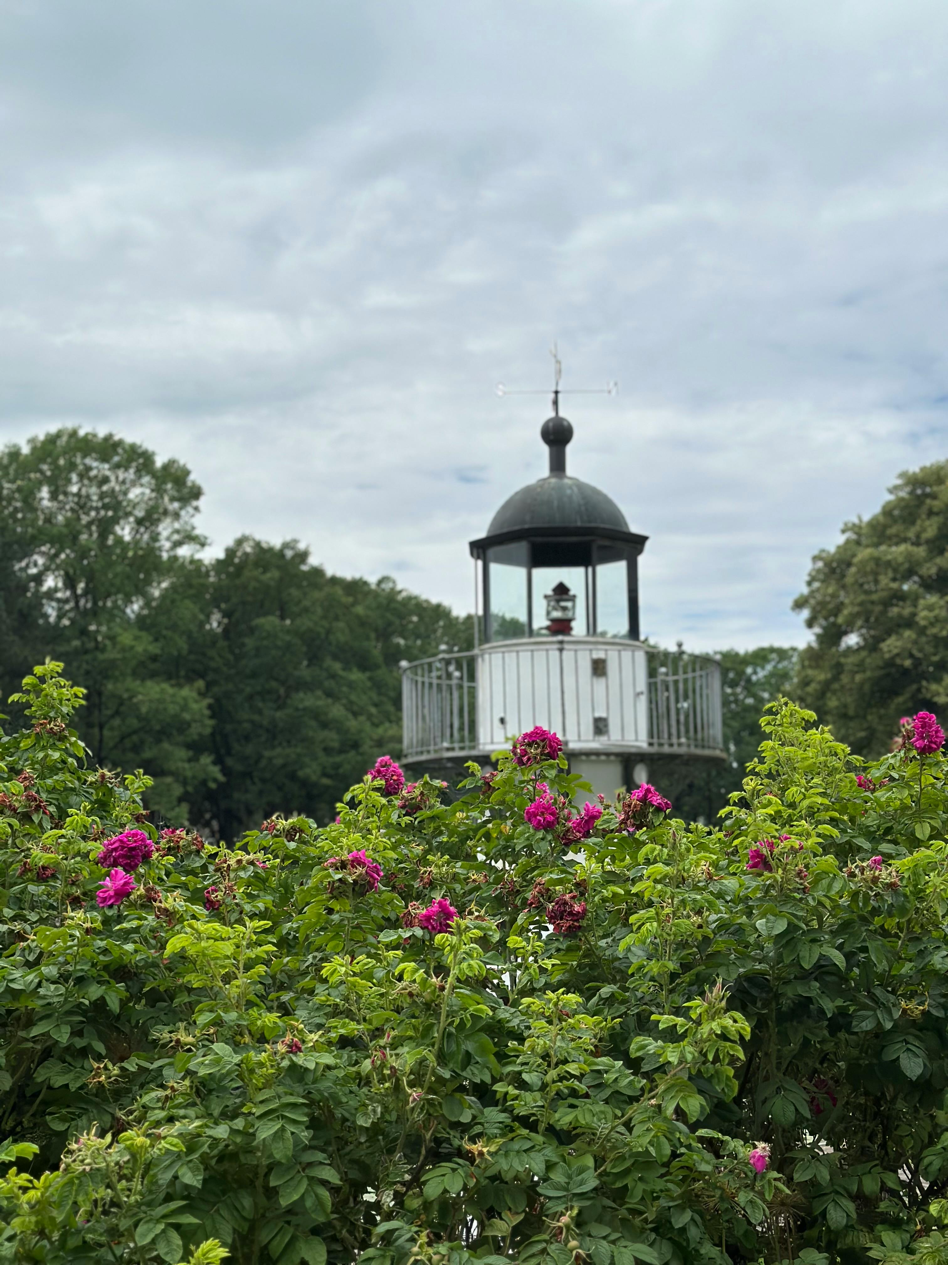 Kiki K - Photography