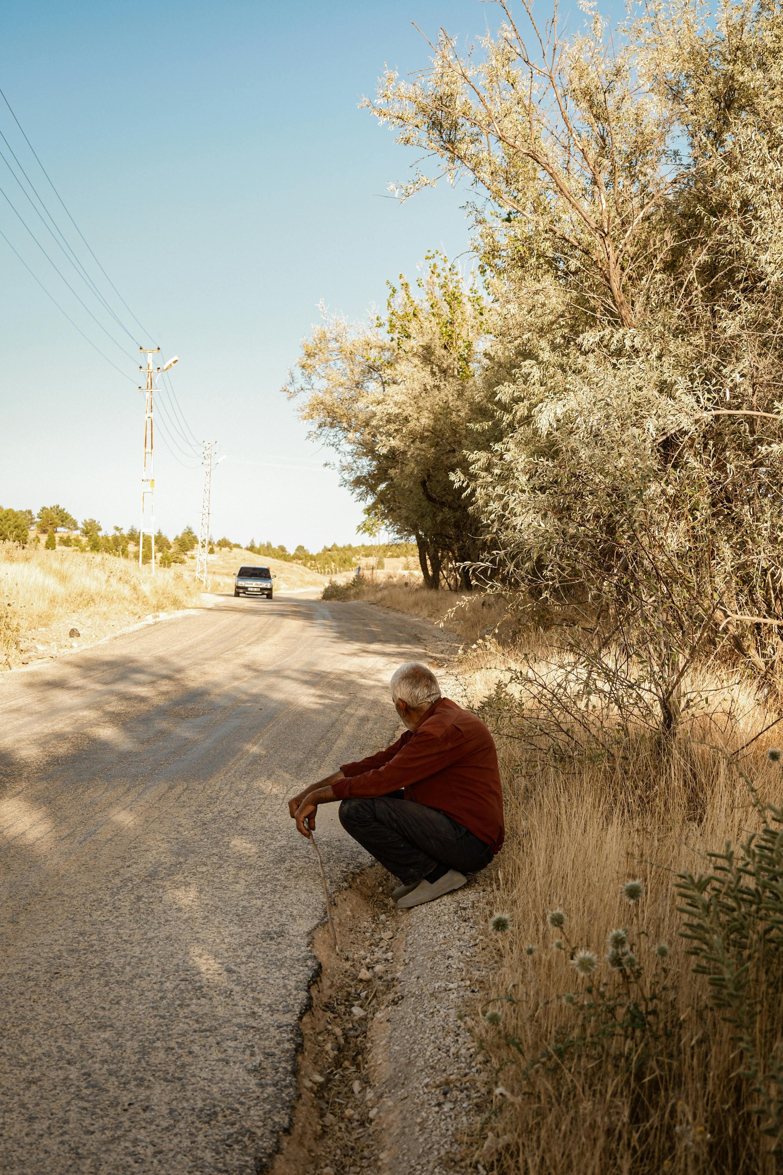 Rets Photos, Download The BEST Free Rets Stock Photos & HD Images