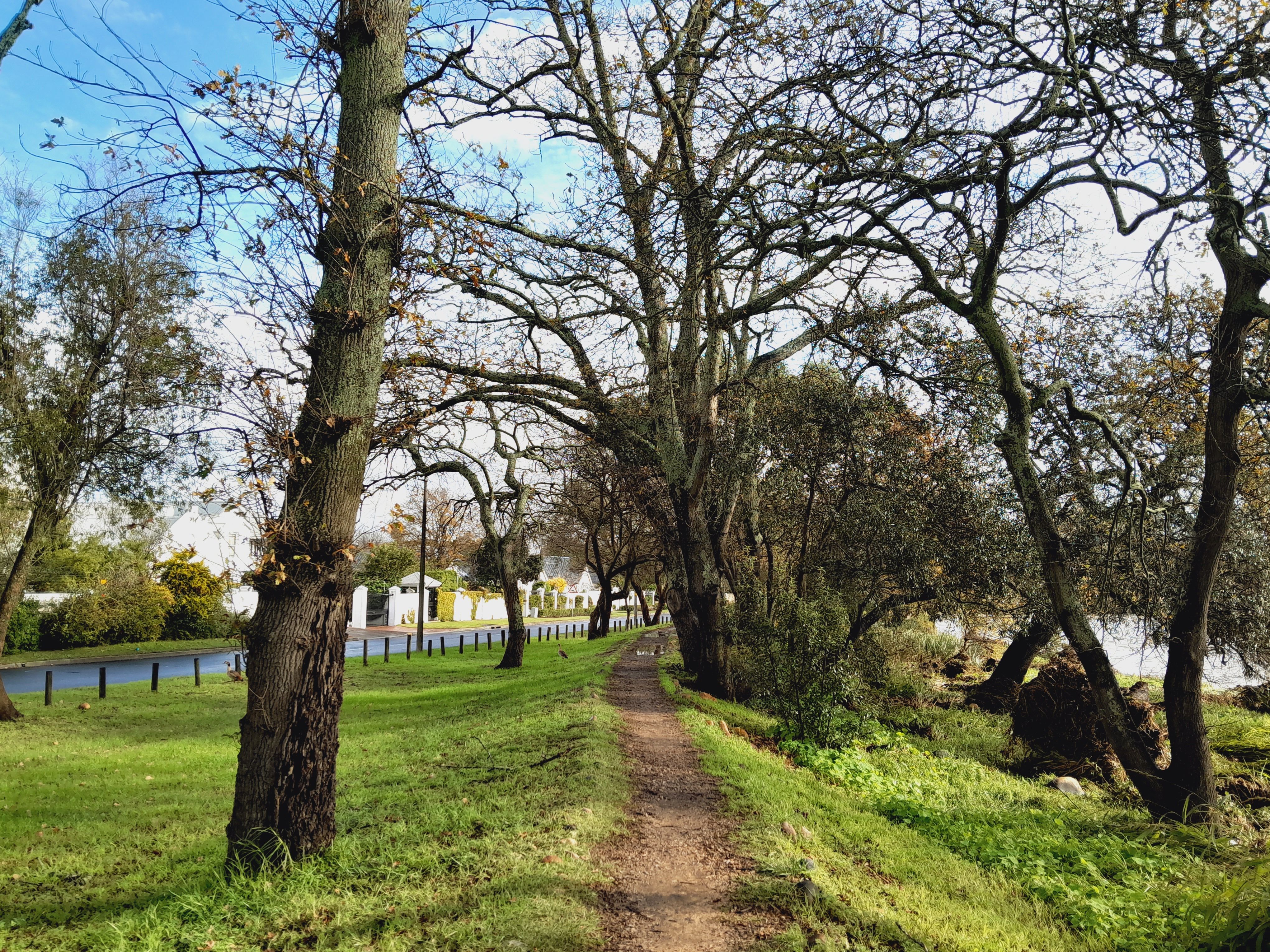 Footpath on Grass Causeway · Free Stock Photo