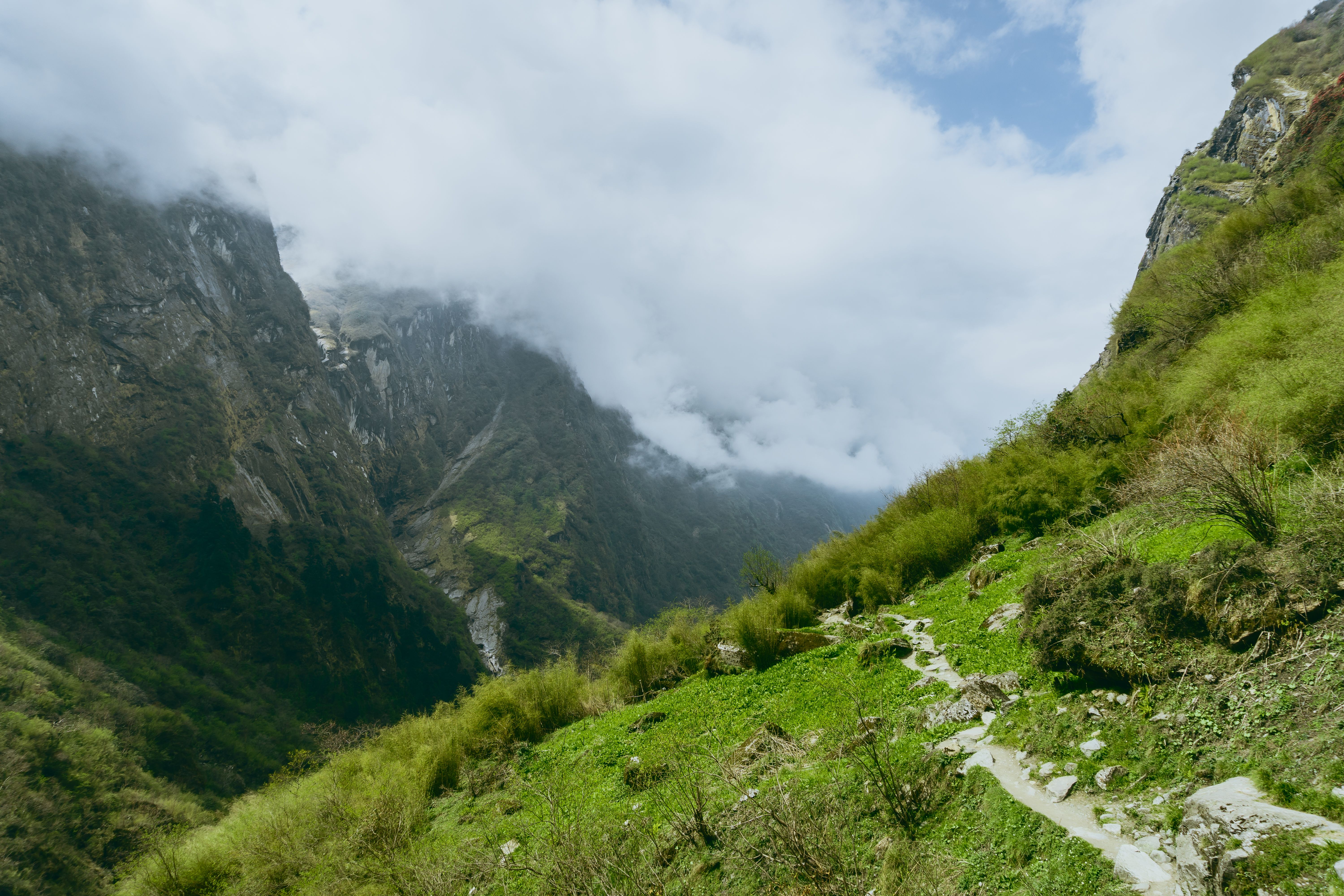 Scenic View of Green, Rocky Mountains · Free Stock Photo