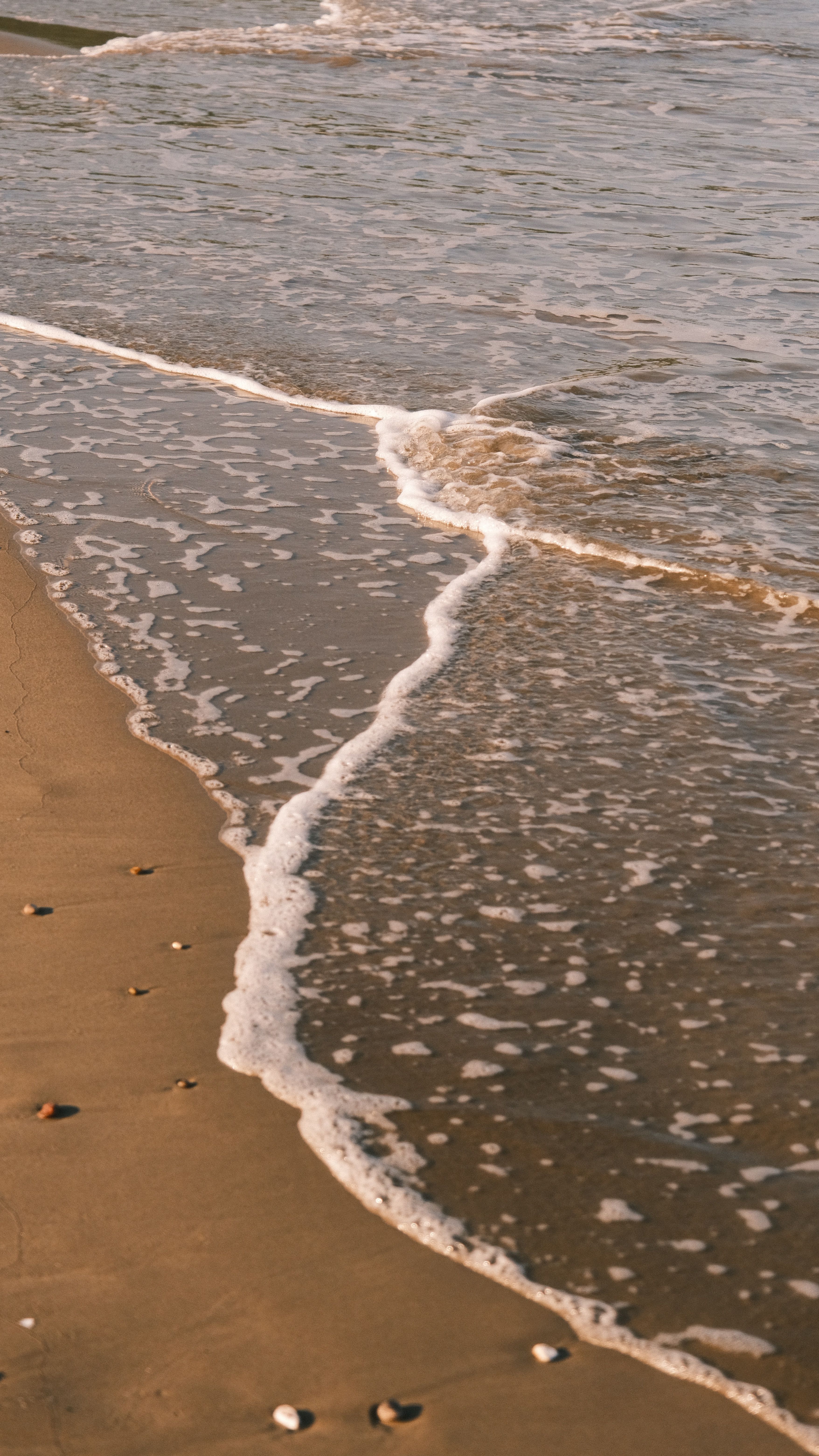 Edge of a Sandy Beach · Free Stock Photo
