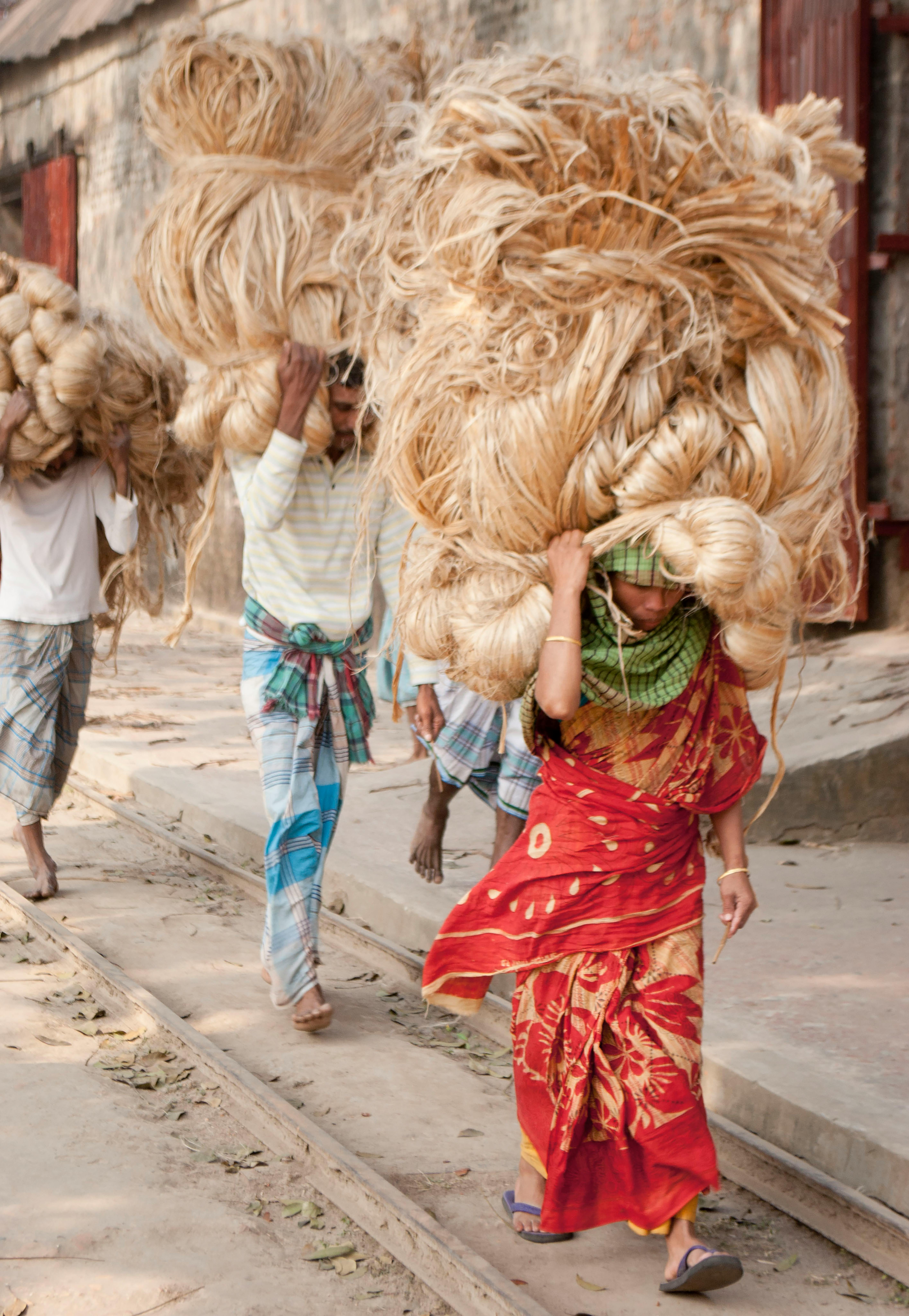A group of people carrying bundles of hay · Free Stock Photo