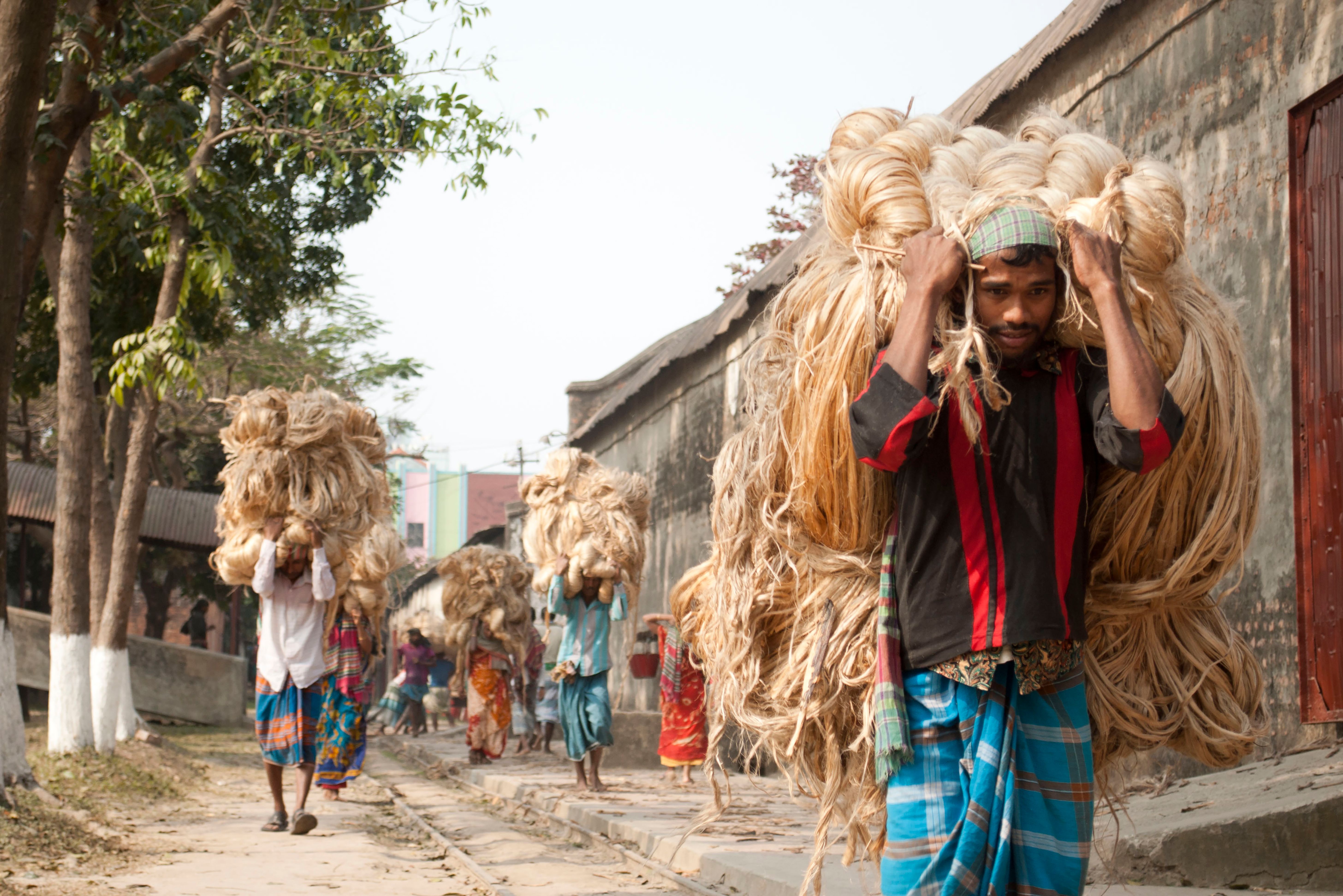 Men Carrying Hay · Free Stock Photo
