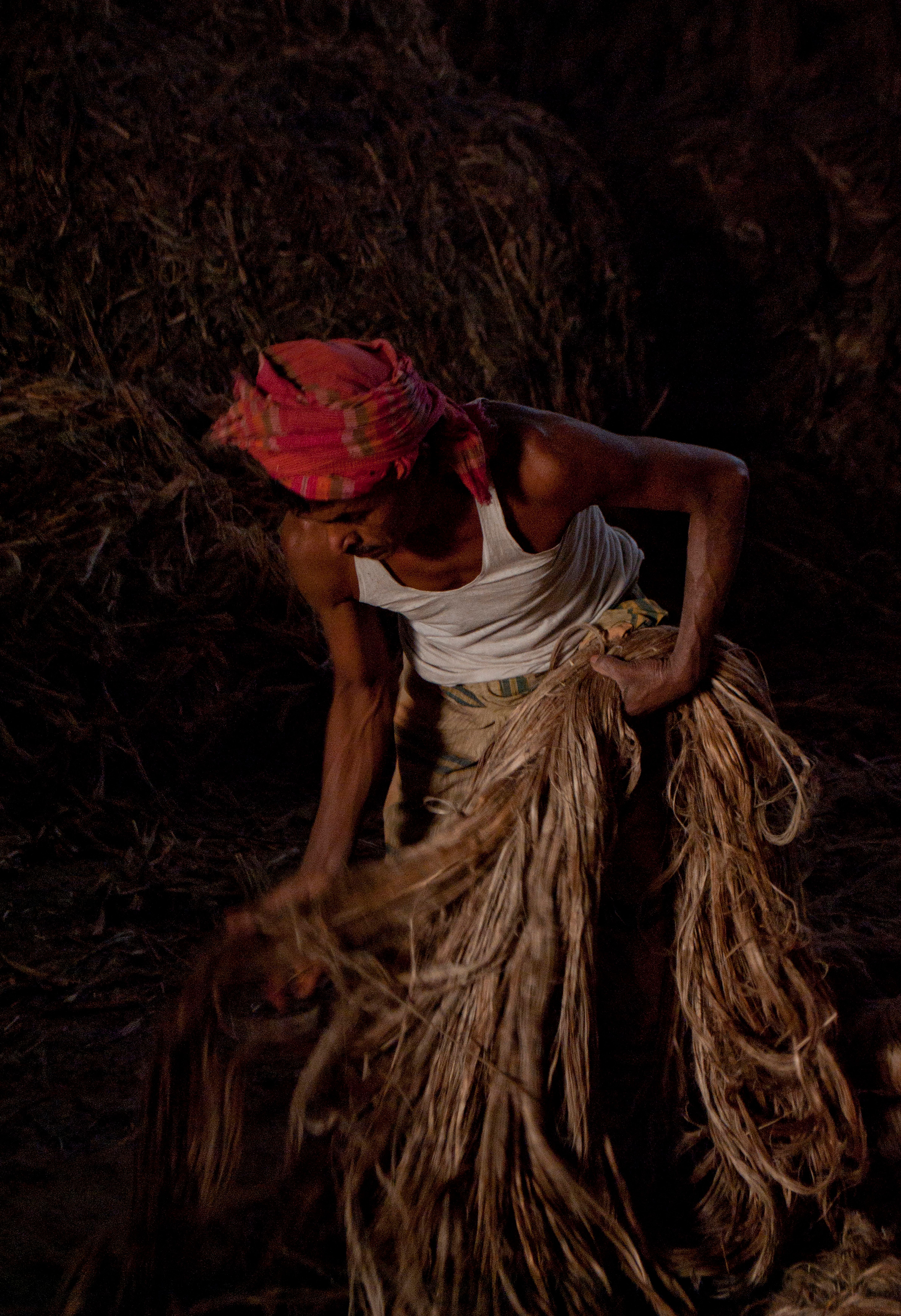 African Closeup Photos, Download The BEST Free African Closeup Stock ...