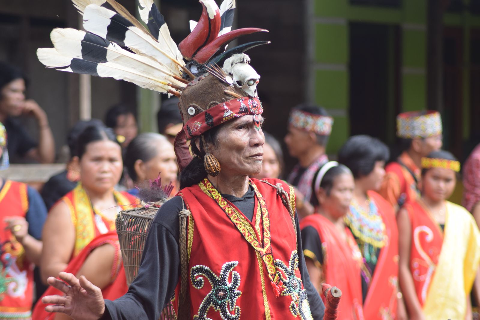 Dayak Photos, Download The BEST Free Dayak Stock Photos & HD Images