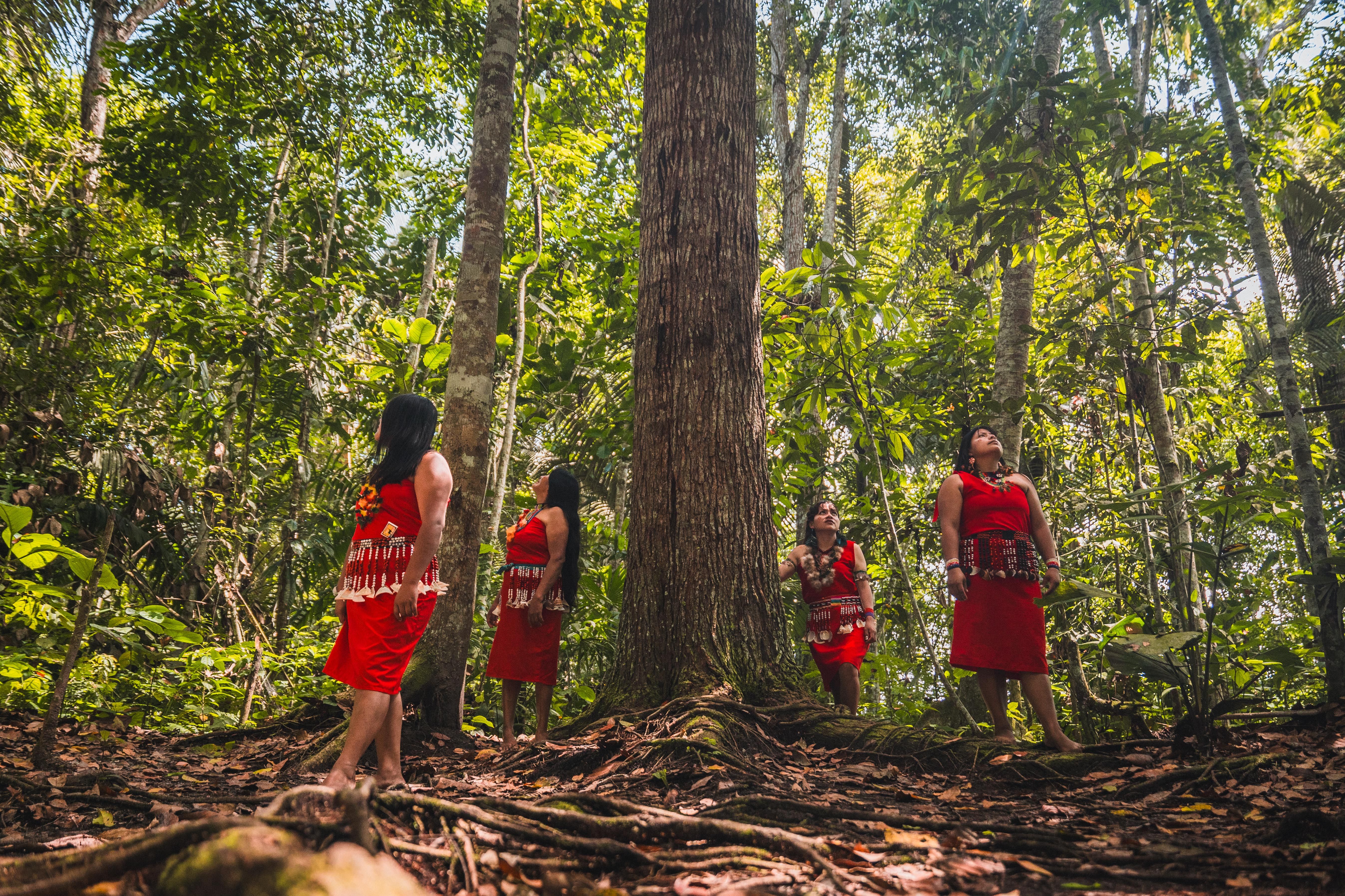 Tribal Women in a Forest · Free Stock Photo