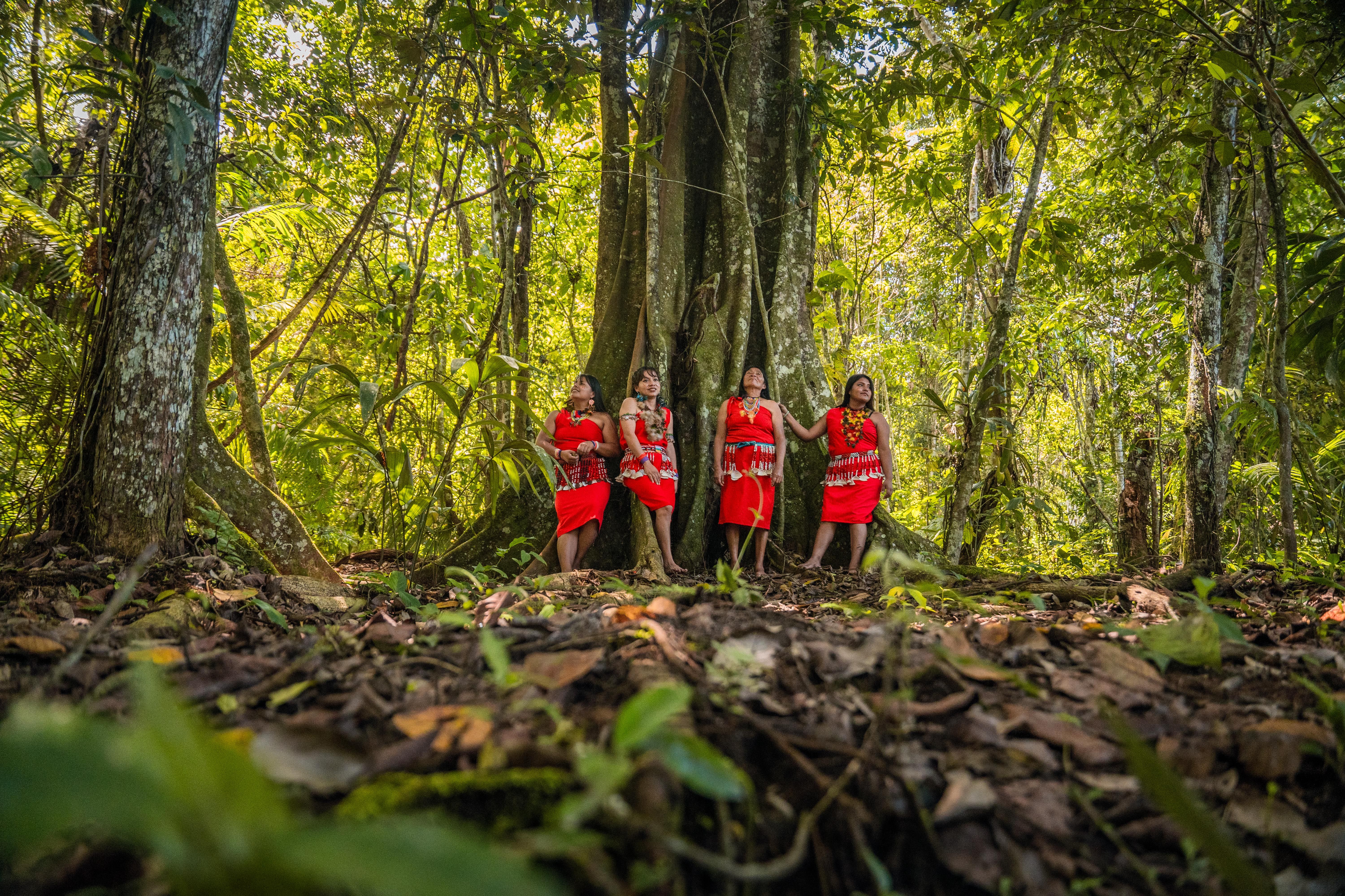 Pueblo indígena Awajún en el bosque · Free Stock Photo