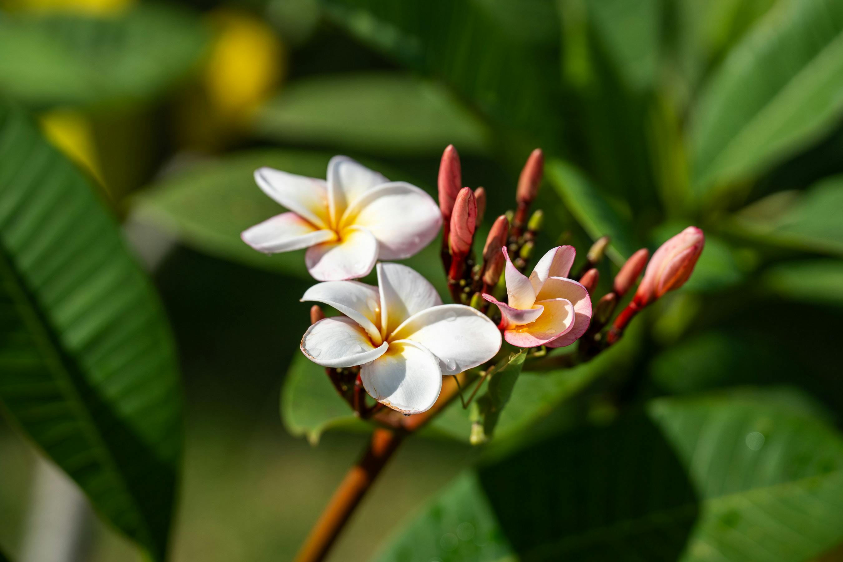 Matteo Parisi - Photography