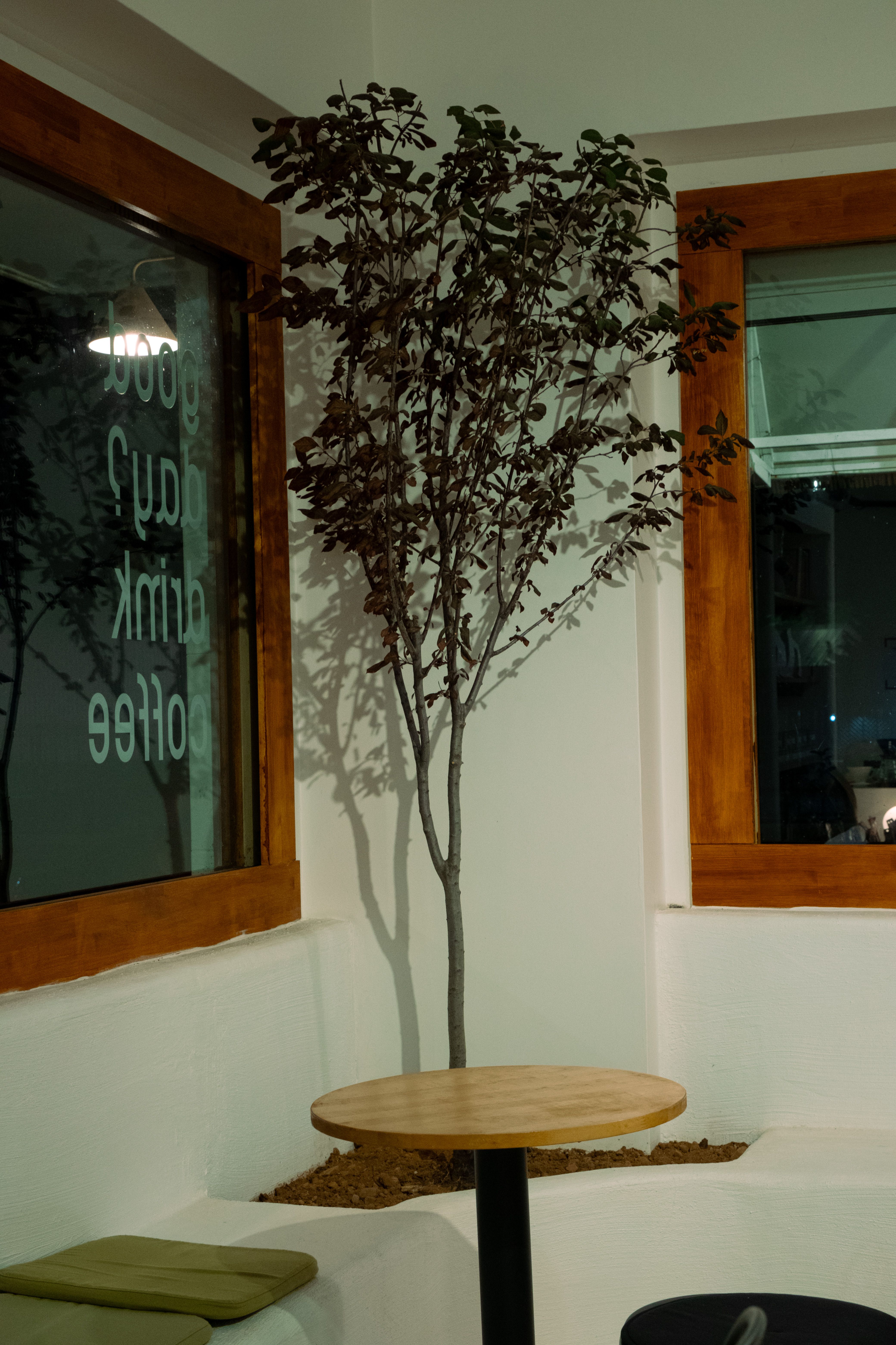 Tree and Table in Cafe Corner · Free Stock Photo
