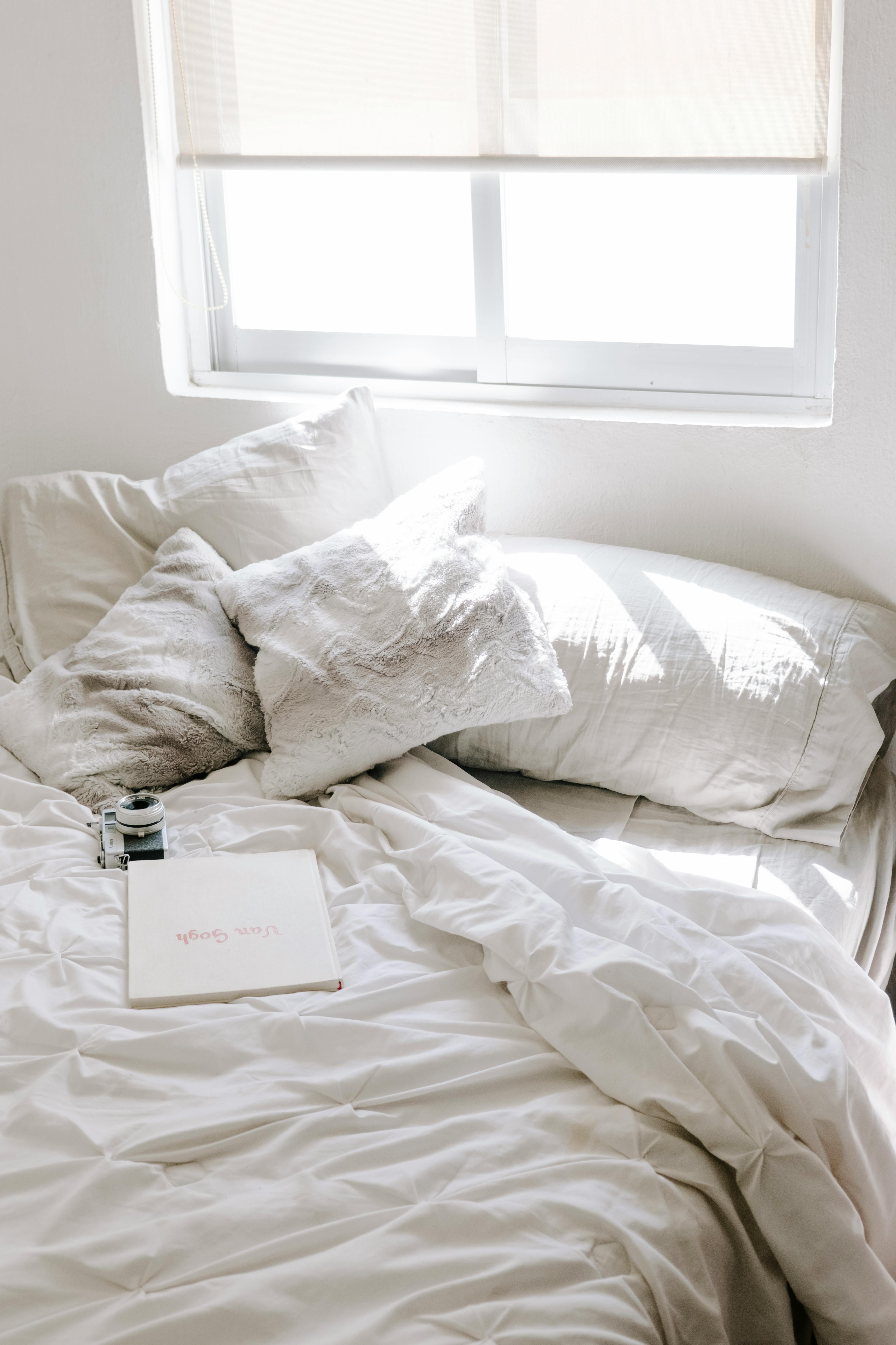 Free stock photo of aesthetic pictures, apartment, arranging ...