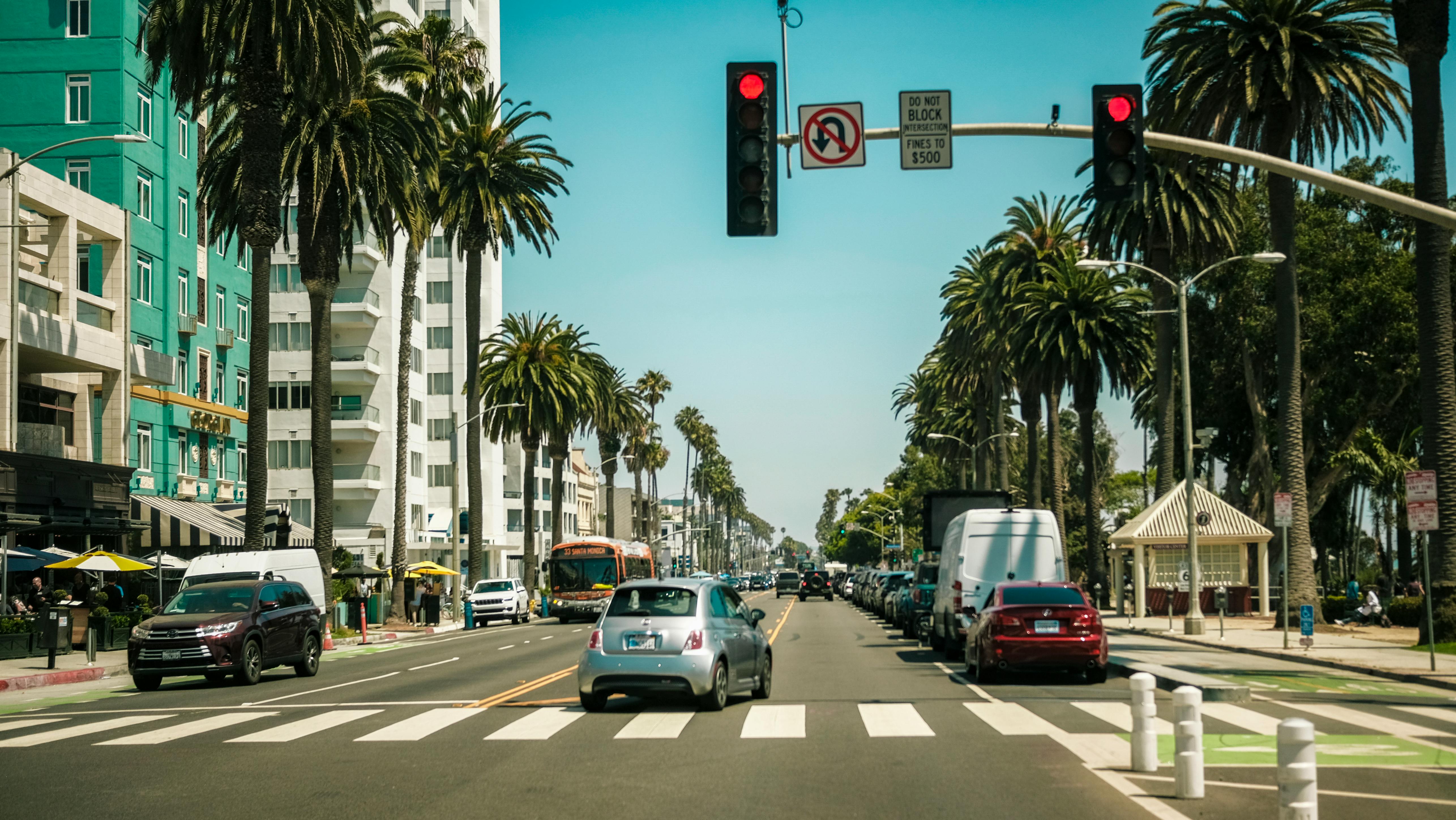 Traffic on a Treelined City Street in Summer · Free Stock Photo
