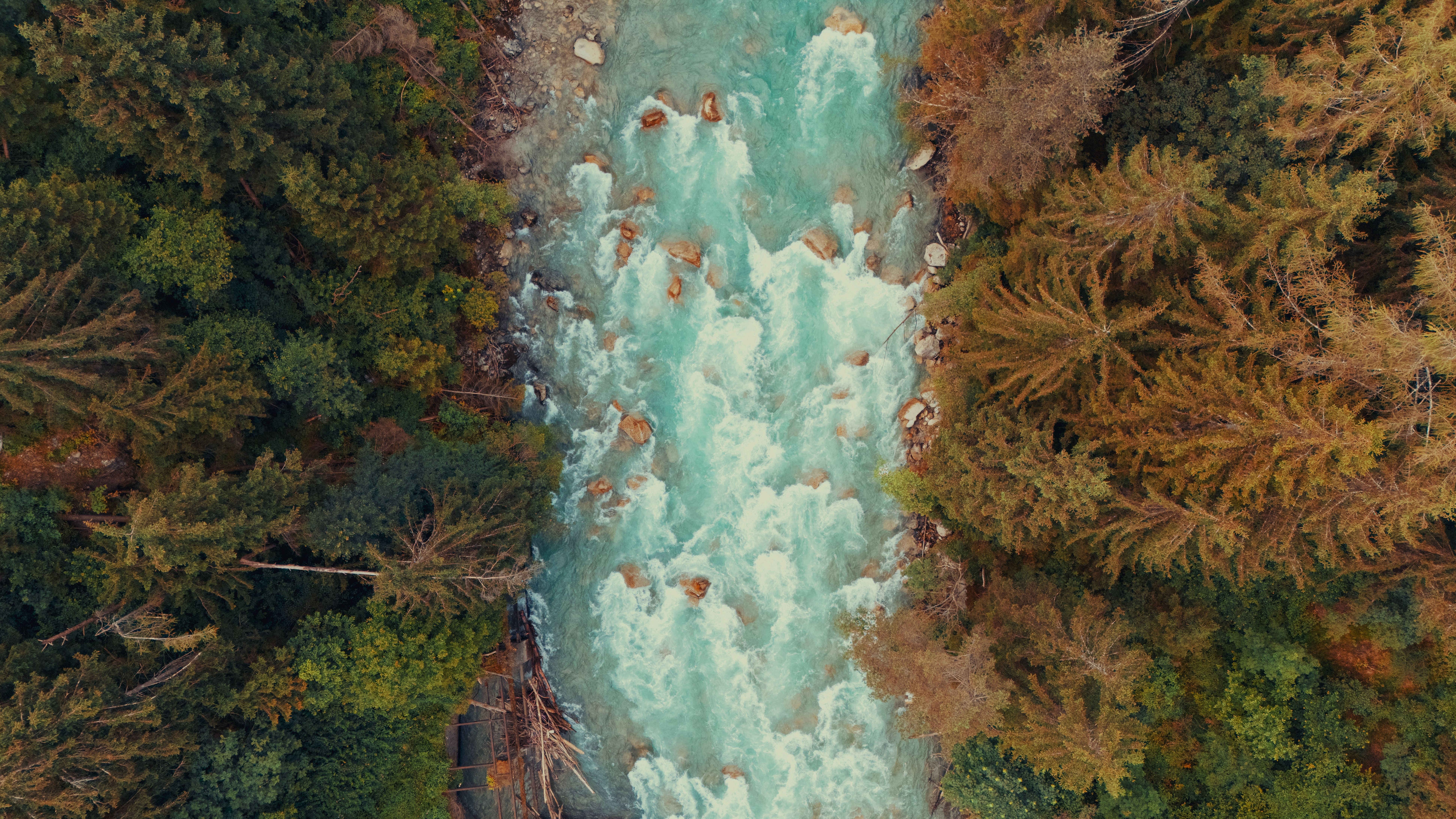 Aerial View of a Flowing River · Free Stock Photo