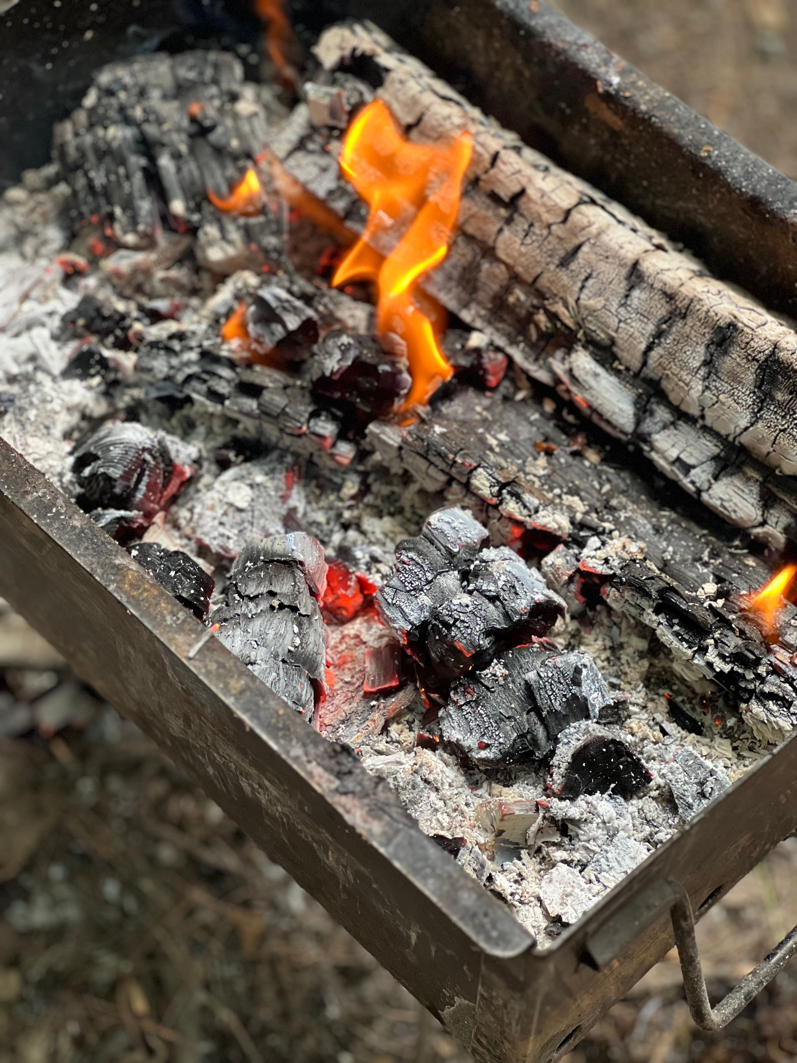 Close-up of Burning Embers · Free Stock Photo