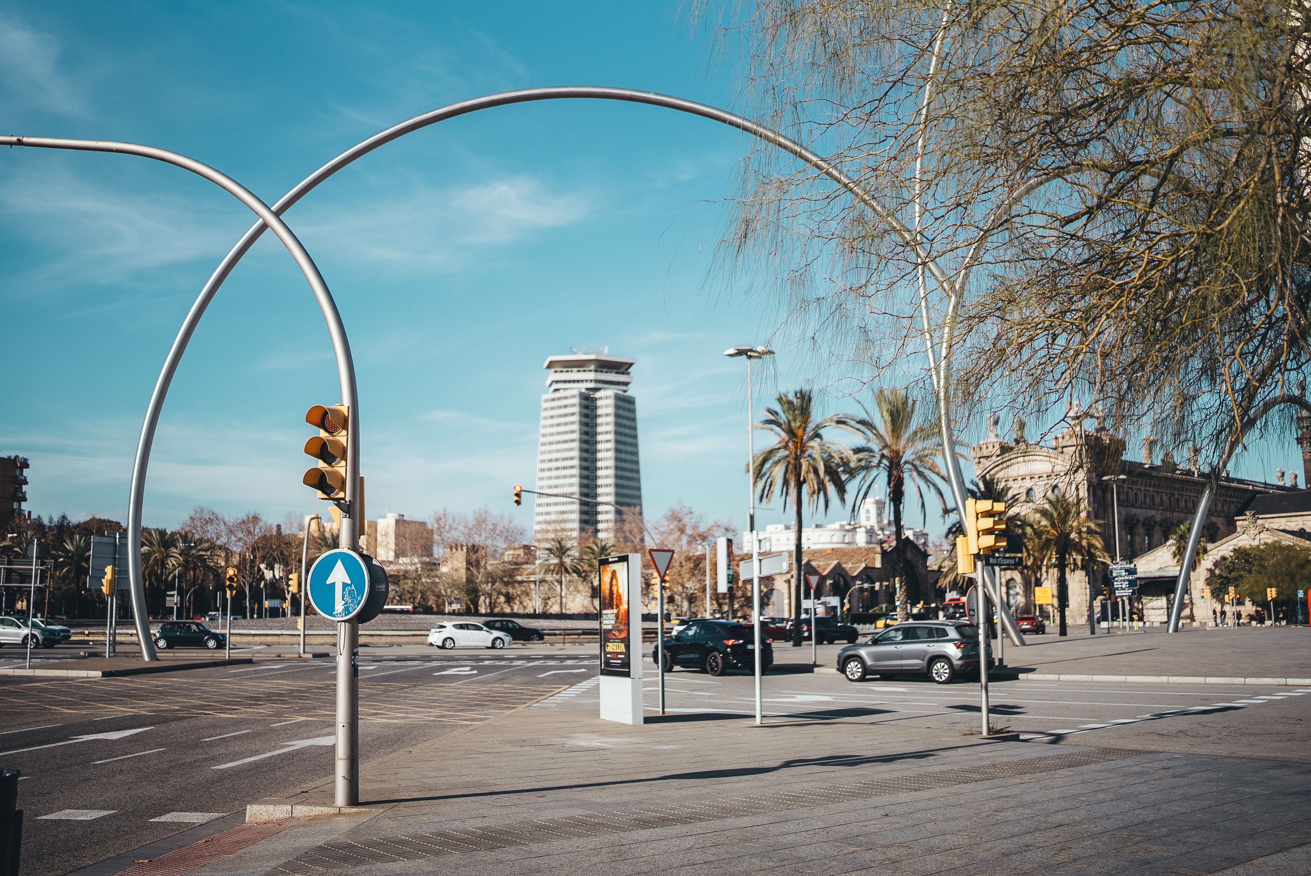 A street with a traffic light and a palm tree · Free Stock Photo