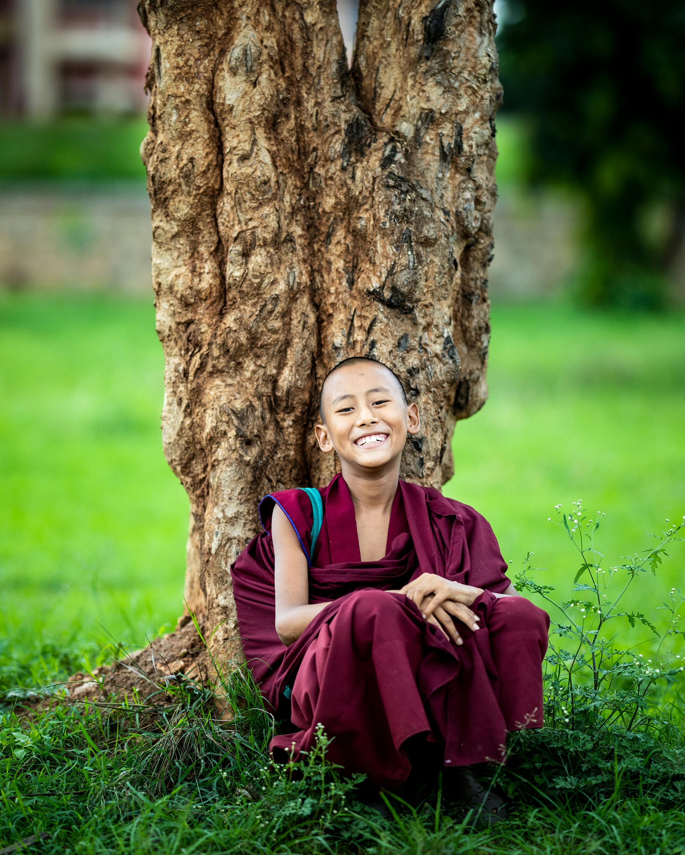 Monk Sat Under The Tree For Rest Photos, Download The BEST Free Monk ...