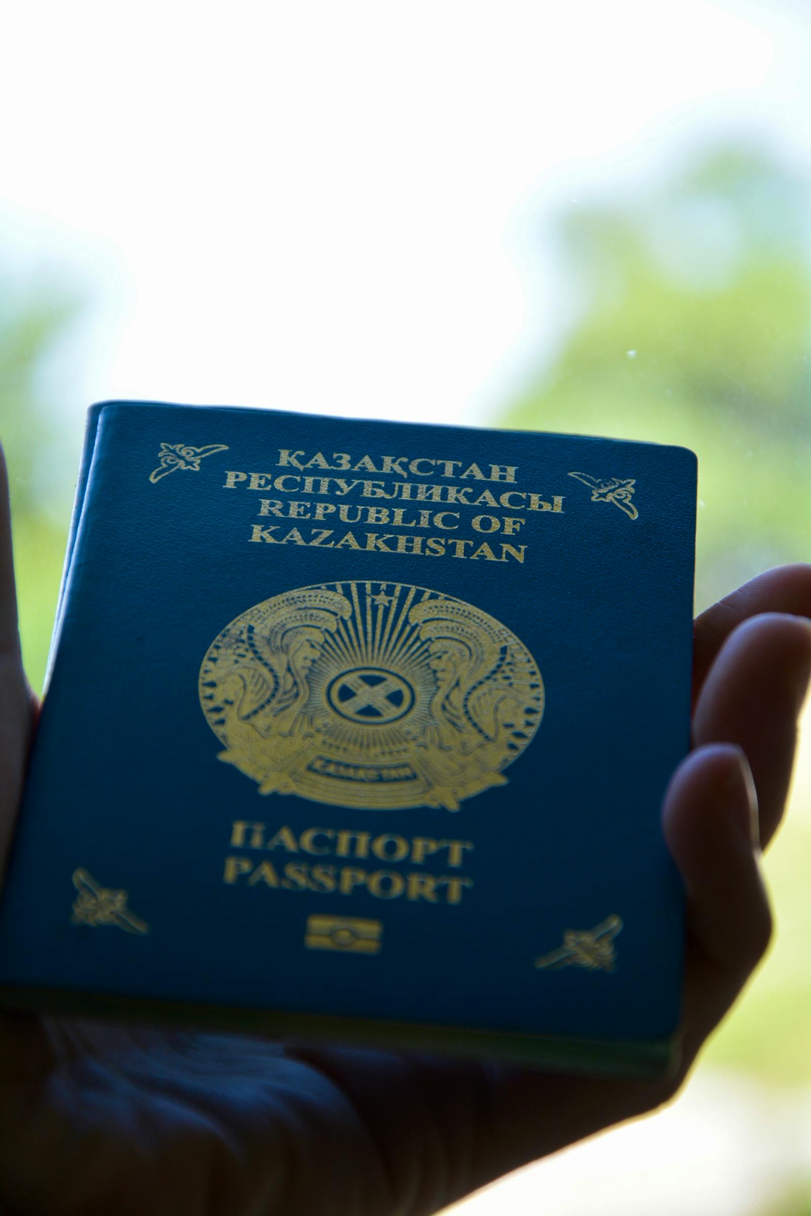 Passport Photoes Photos, Download The BEST Free Passport Photoes Stock ...