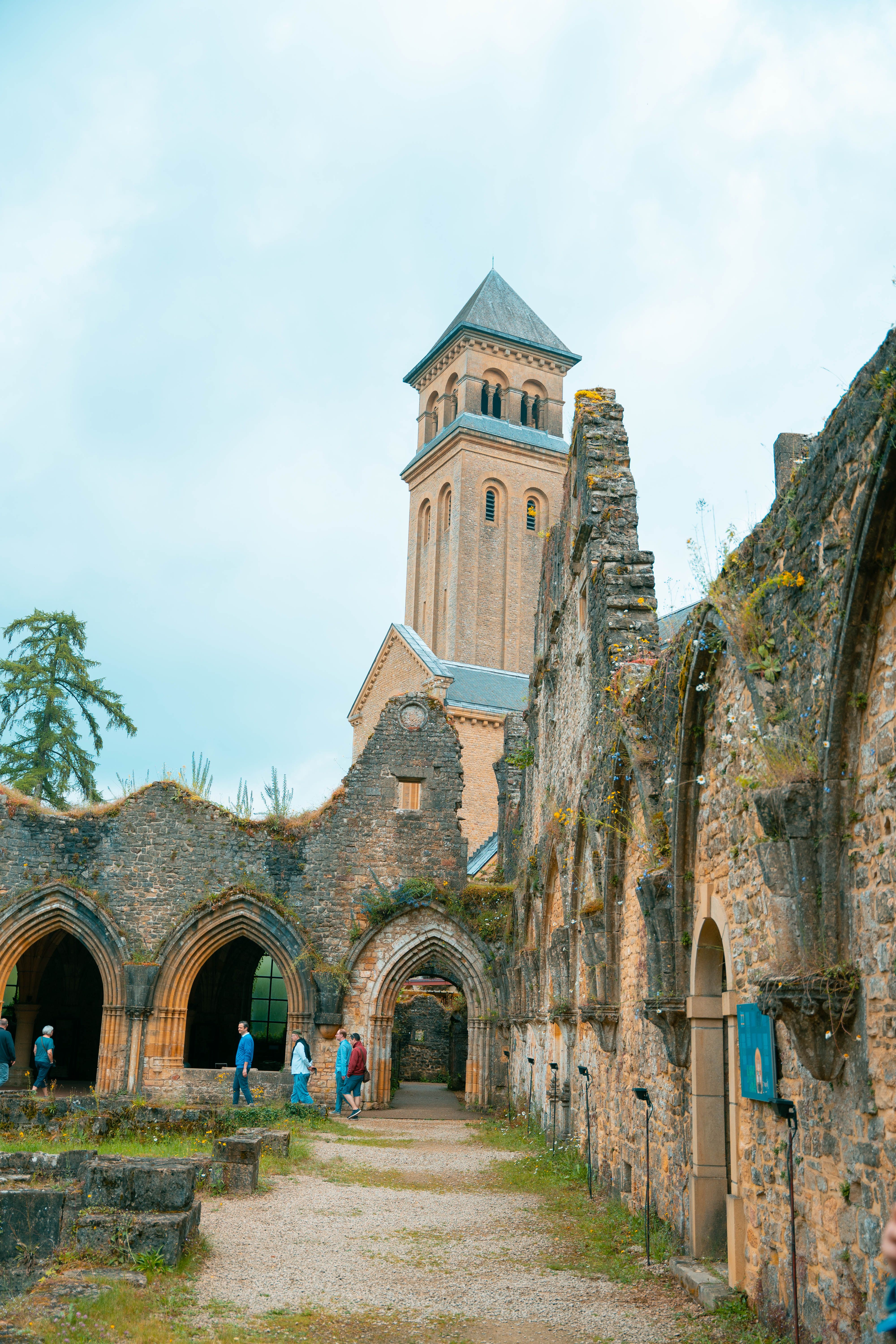 Orval Abbey Ruins, Florenville, Belgium · Free Stock Photo