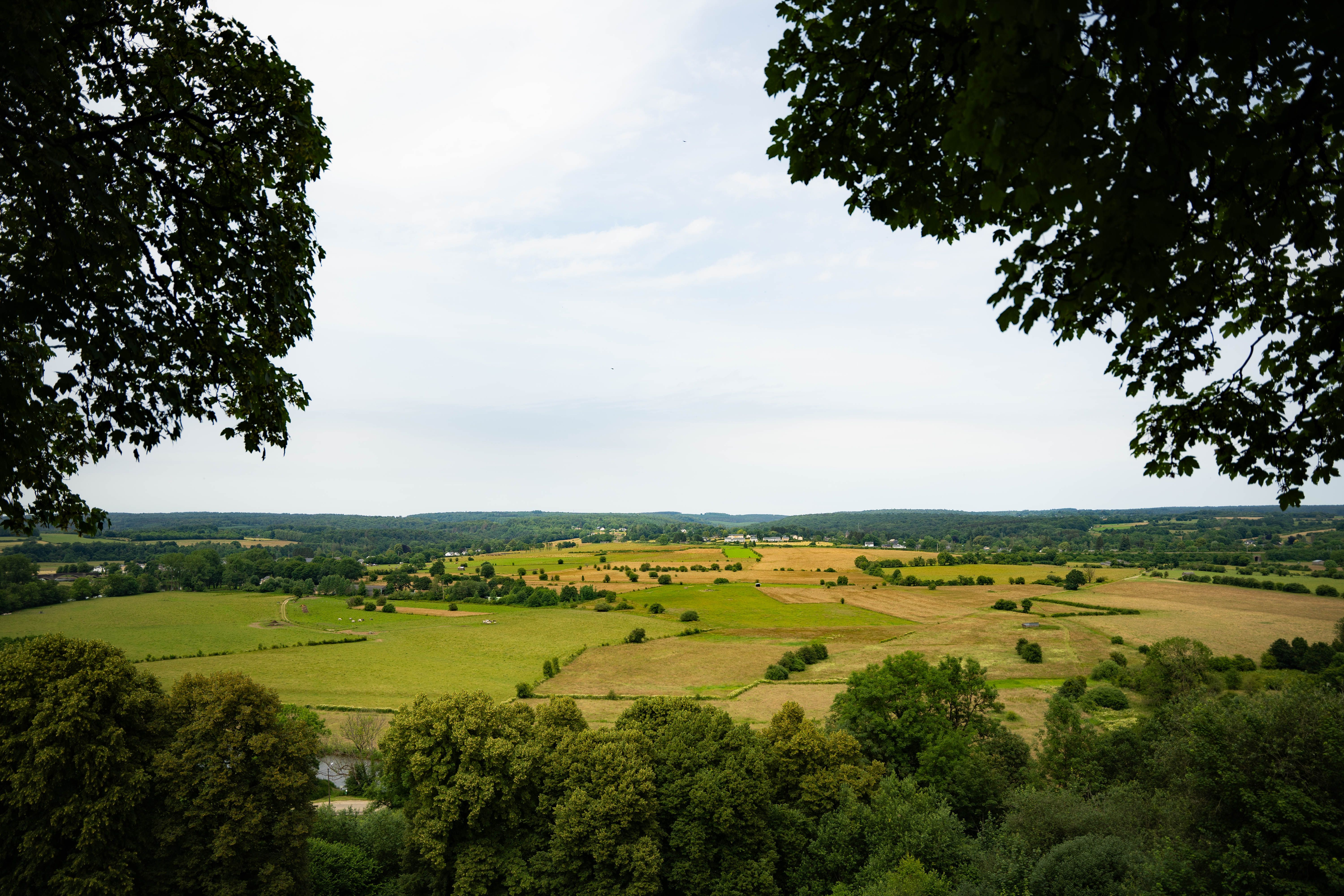 Scenic View of Countryside Fields · Free Stock Photo