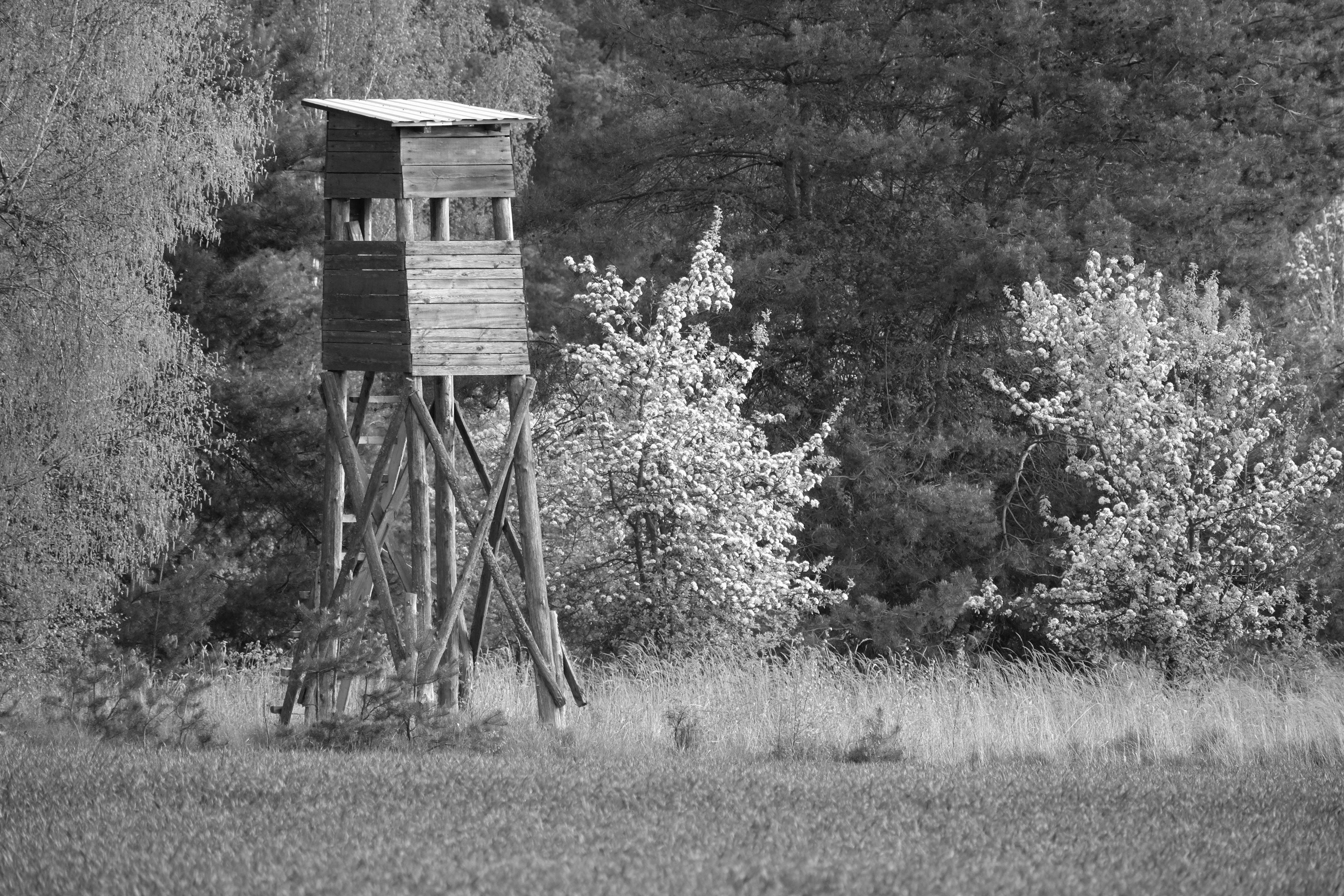 Sentry Post Photos, Download The BEST Free Sentry Post Stock Photos ...