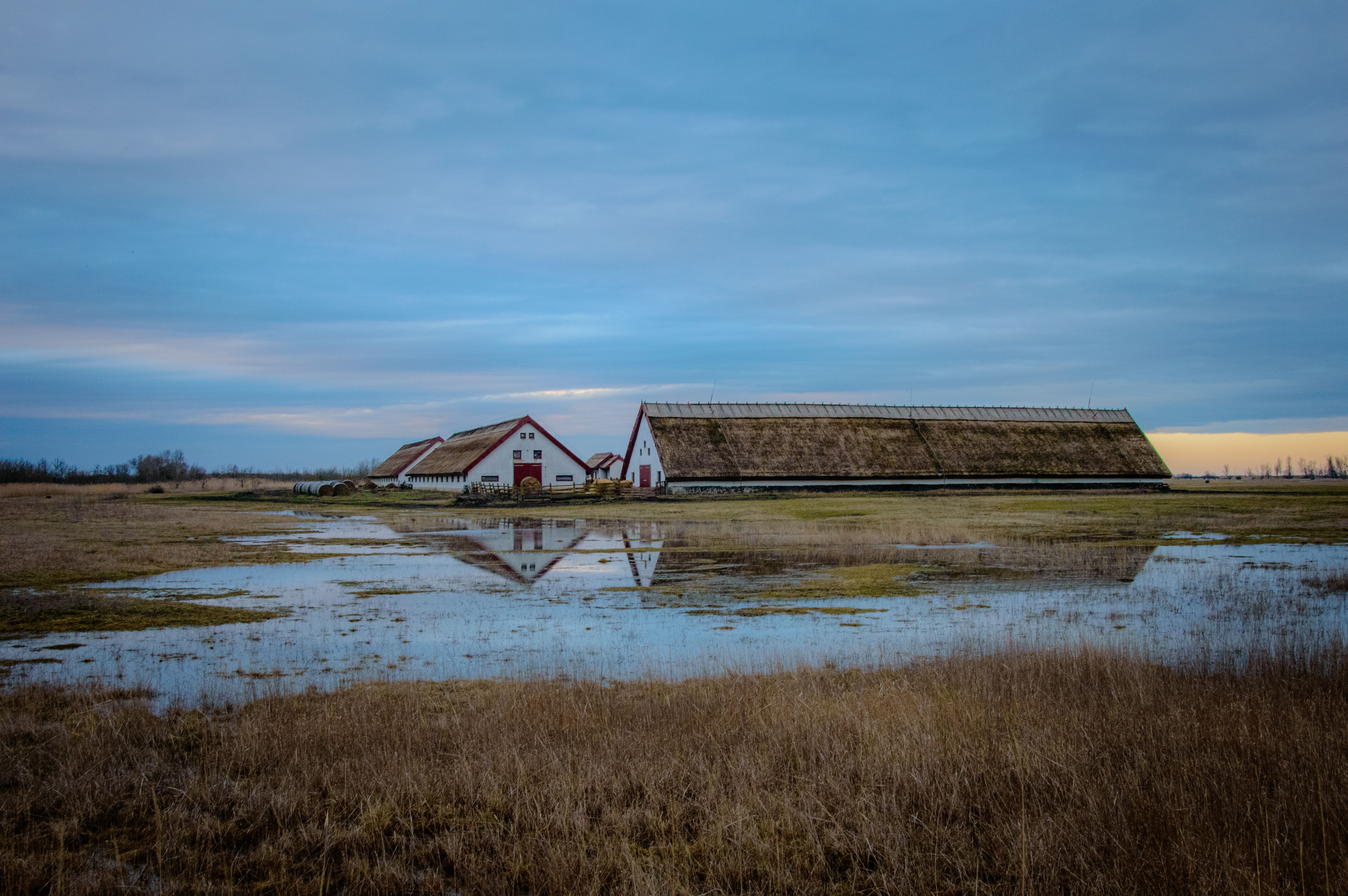 Farm Houses in a Marsh at Sunset · Free Stock Photo