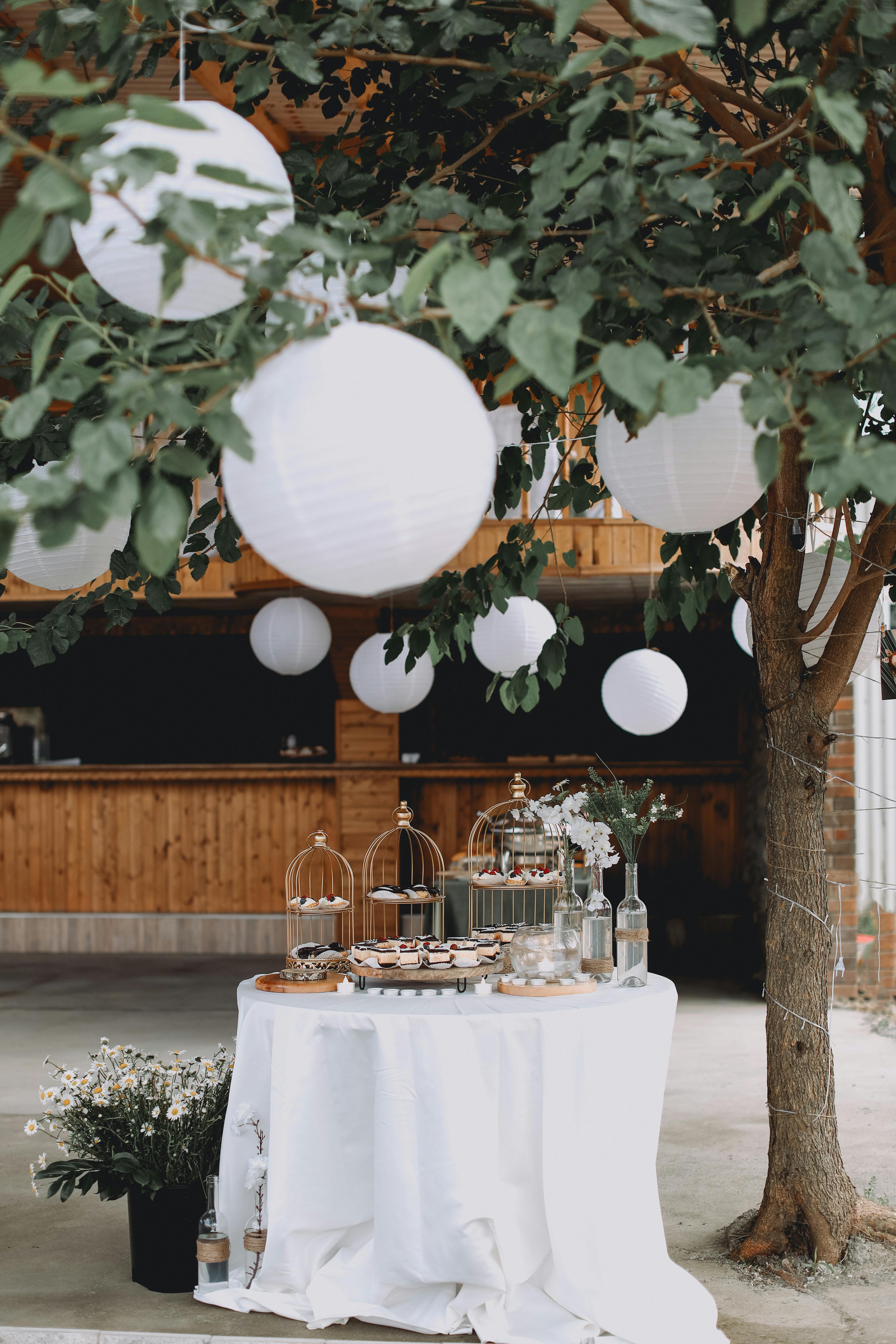 Evening Reception Photos, Download The BEST Free Evening Reception ...