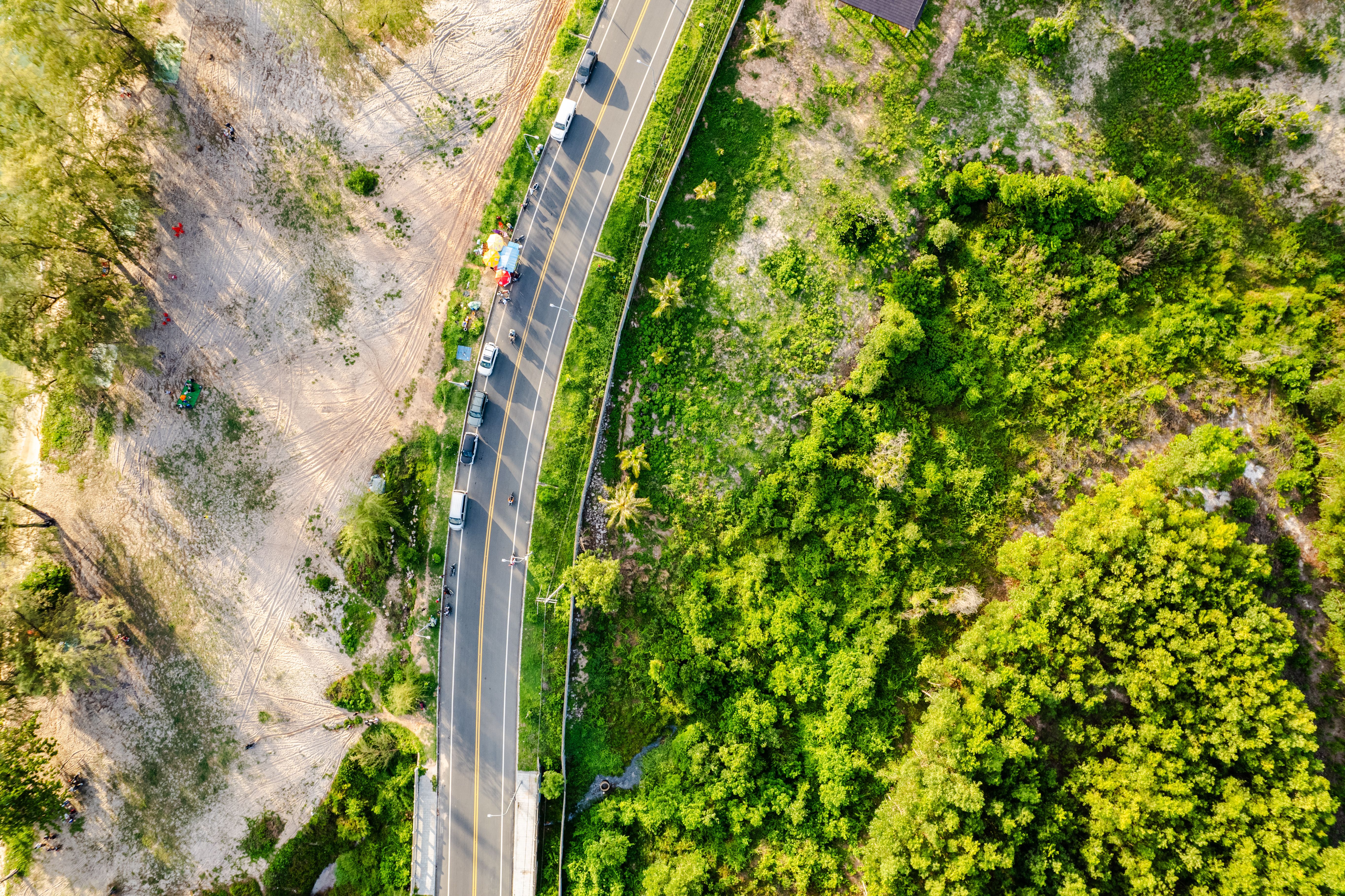 Aerial view of a road with trees and cars · Free Stock Photo