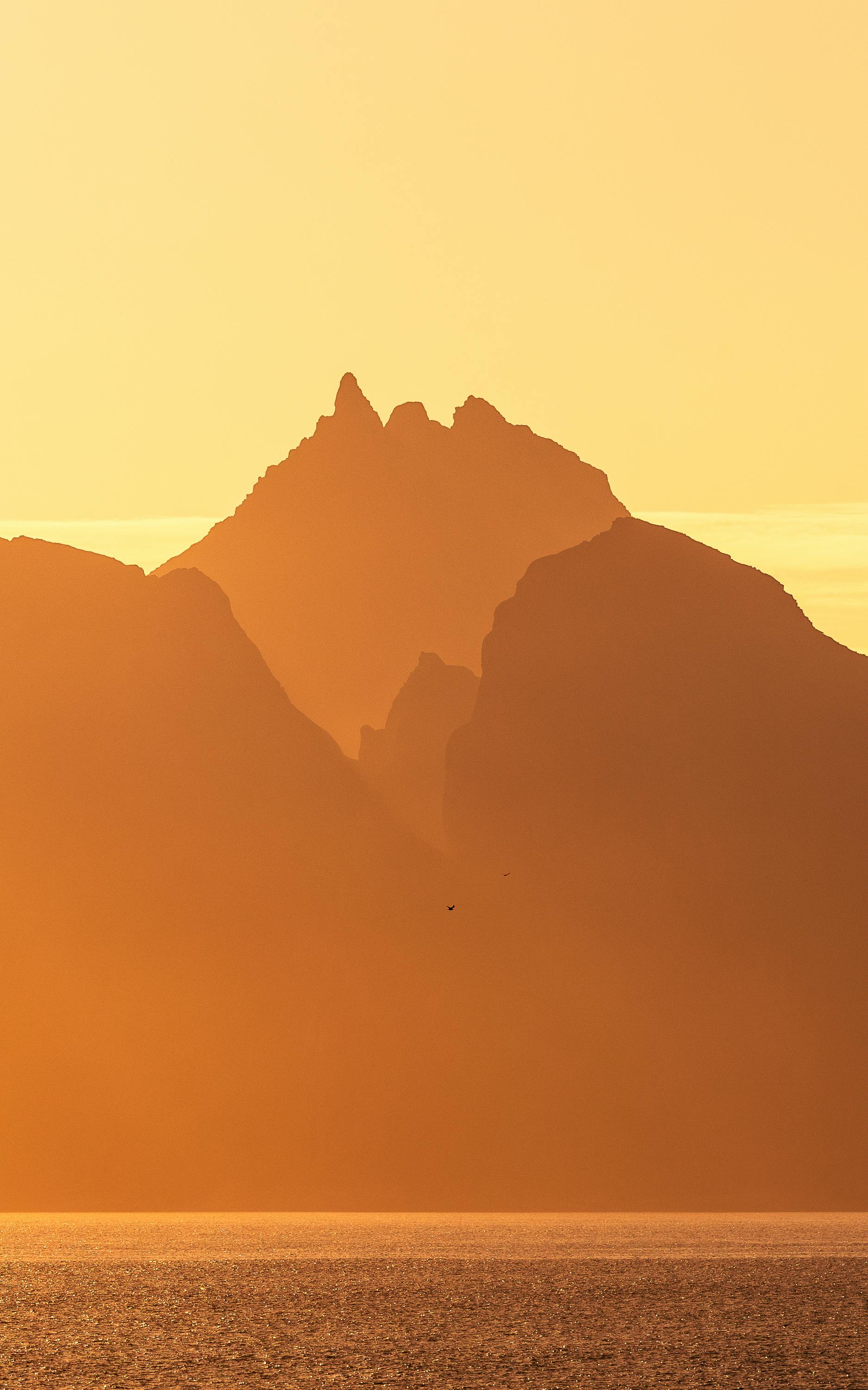 Light Yellow Crack Brik Photos, Download The BEST Free Light Yellow ...