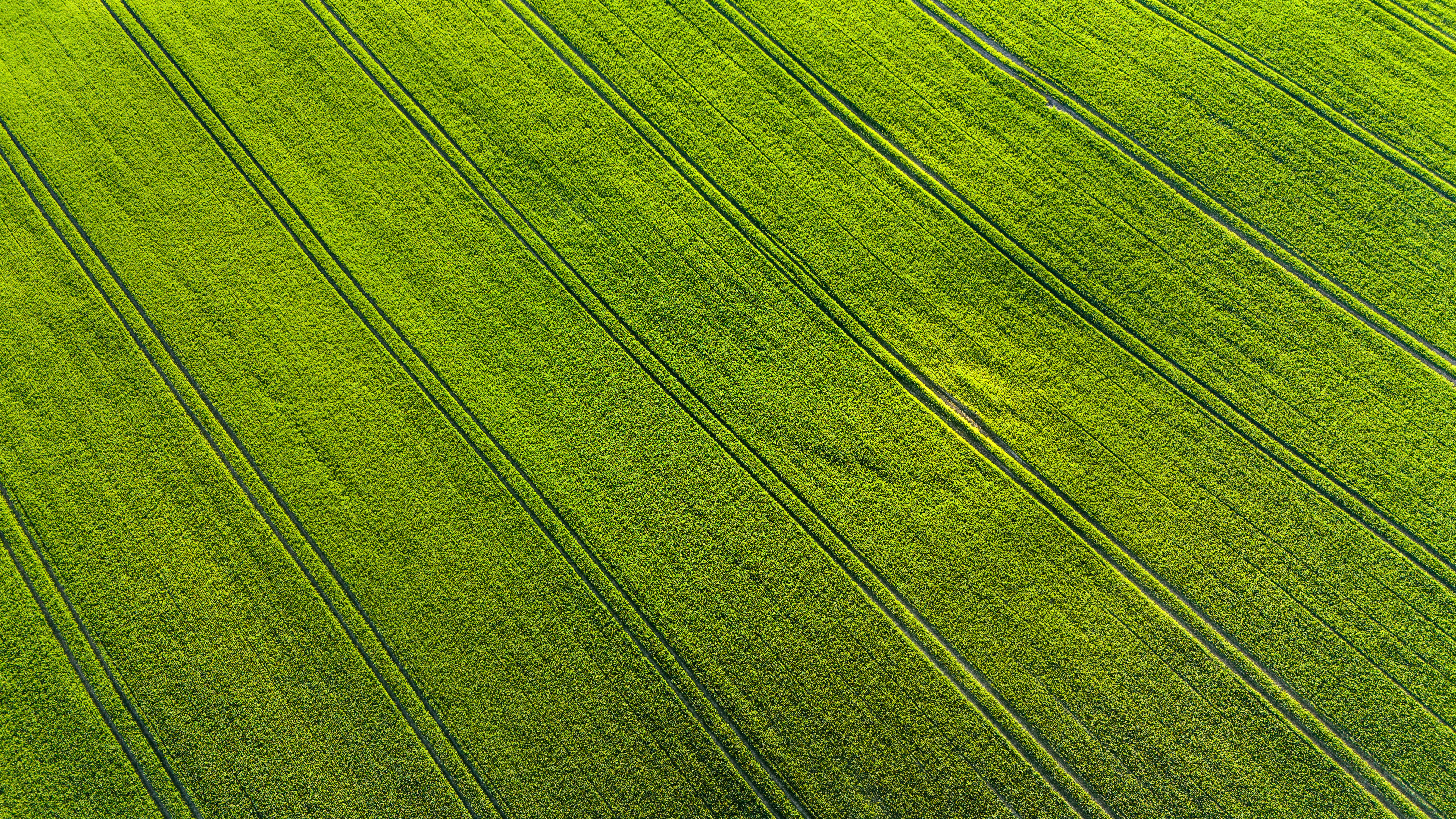 Green, Rural Field · Free Stock Photo