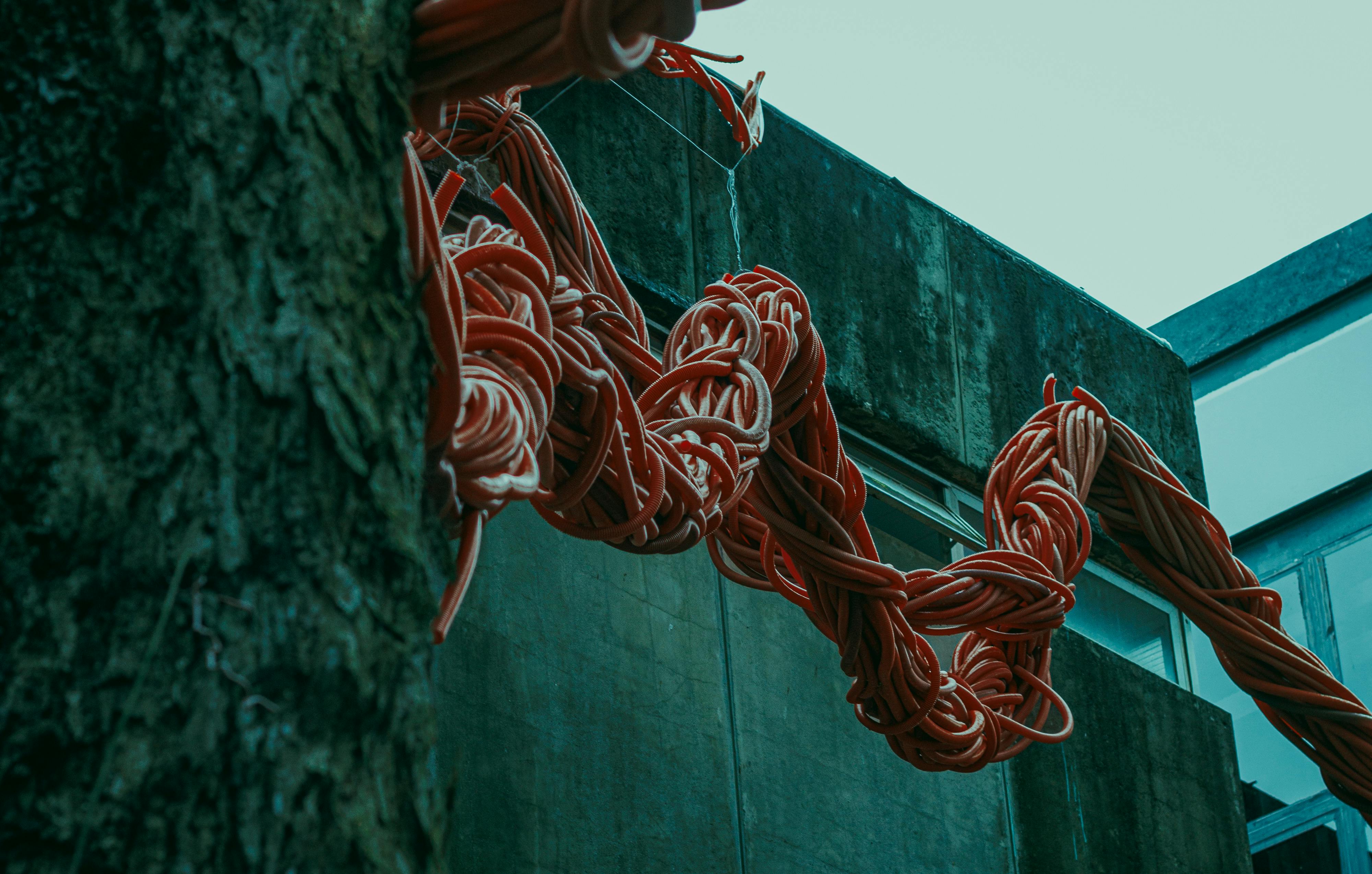 View of an Art Installation · Free Stock Photo