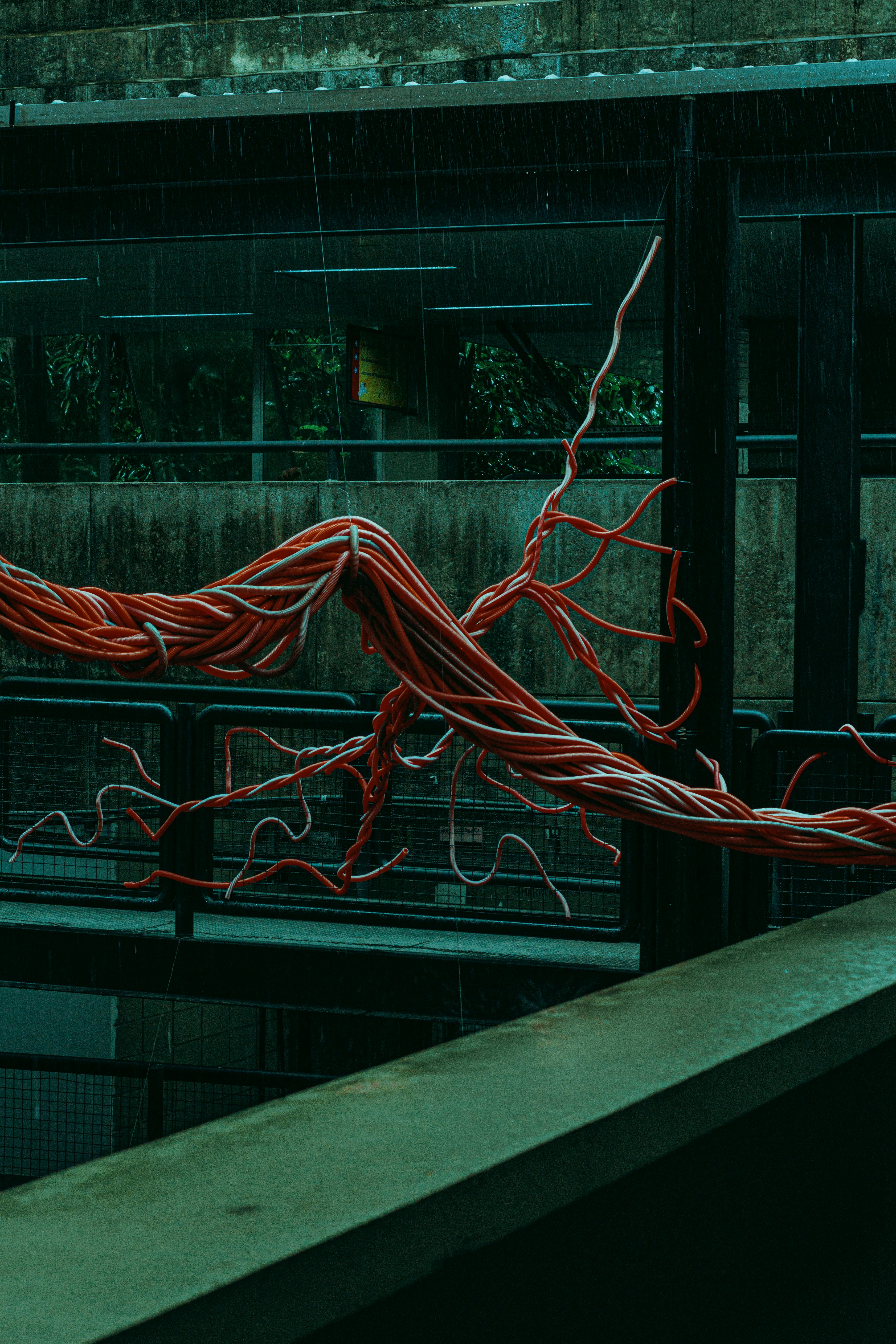 Veins Or Arteries Bifurcation Photos, Download The BEST Free Veins Or ...