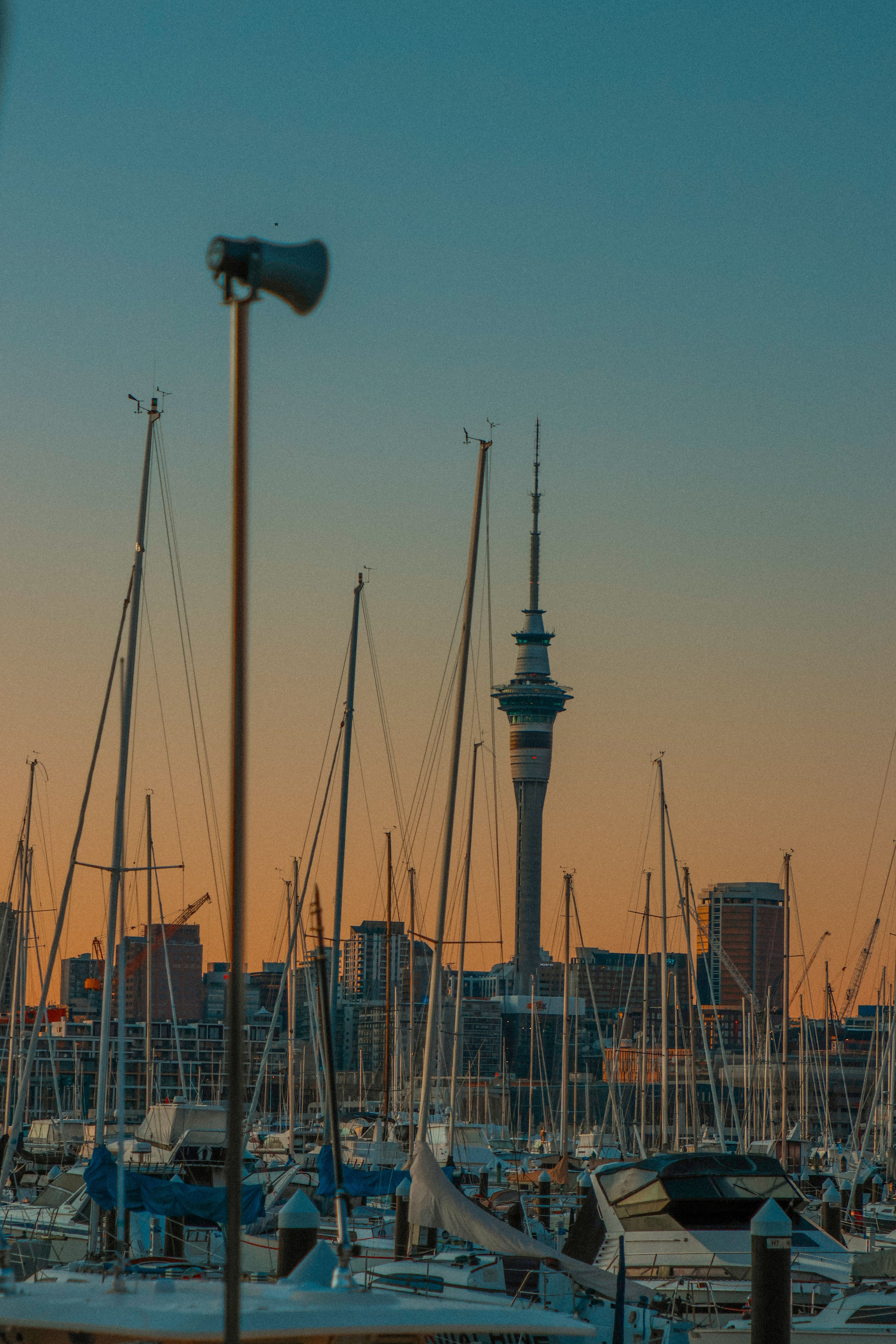 Harbor with Boats and Yachts with View of Sky Tower in Auckland in New ...