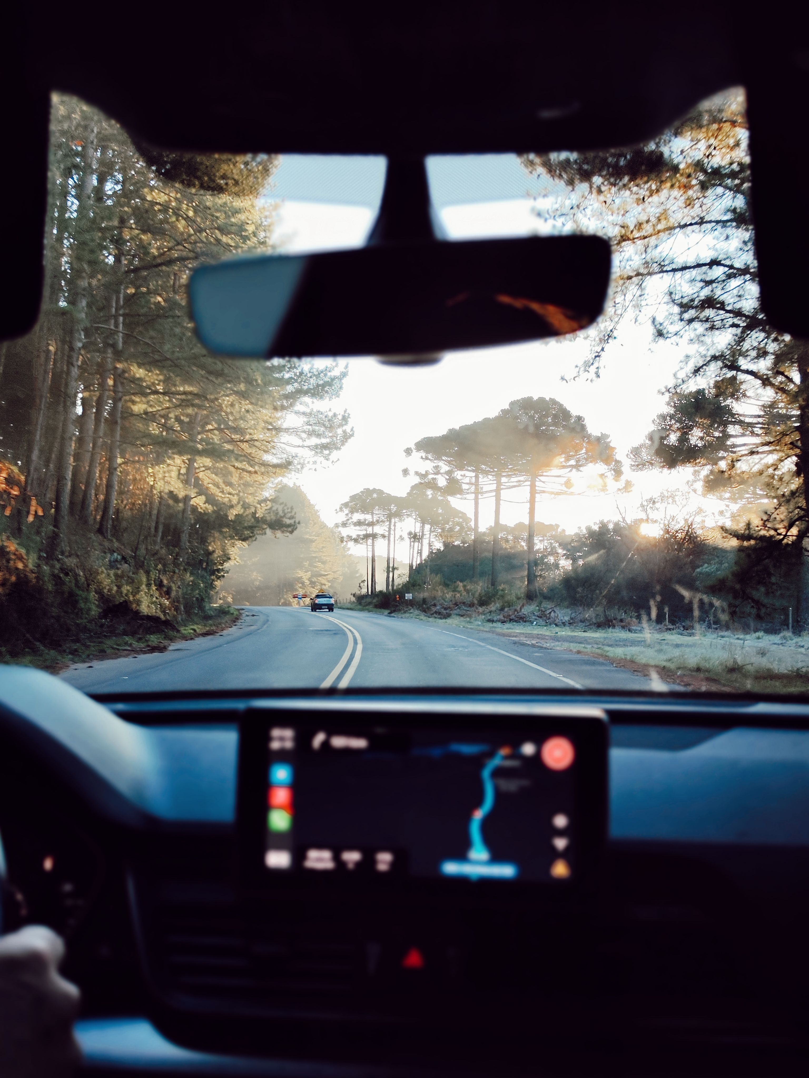 Driving Car on Road in Forest at Sunset · Free Stock Photo